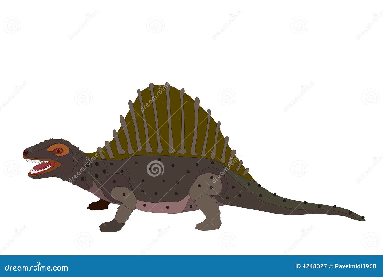 Edaphosaurus Dinosaur - Hand Drawn Vector Illustration | CartoonDealer ...