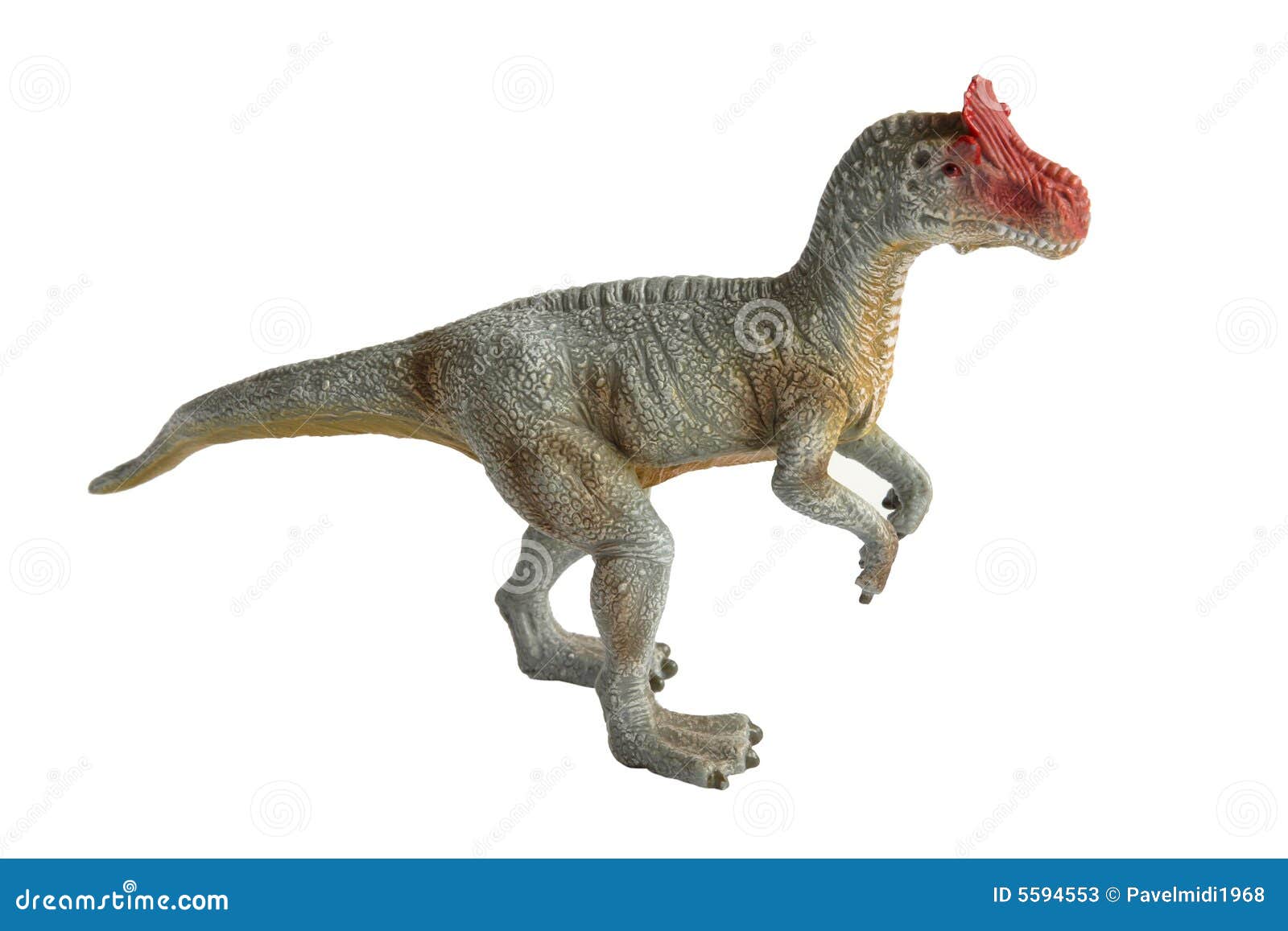 Dinosaur stock image. Image of reptile, creature, dinosaur - 5594553