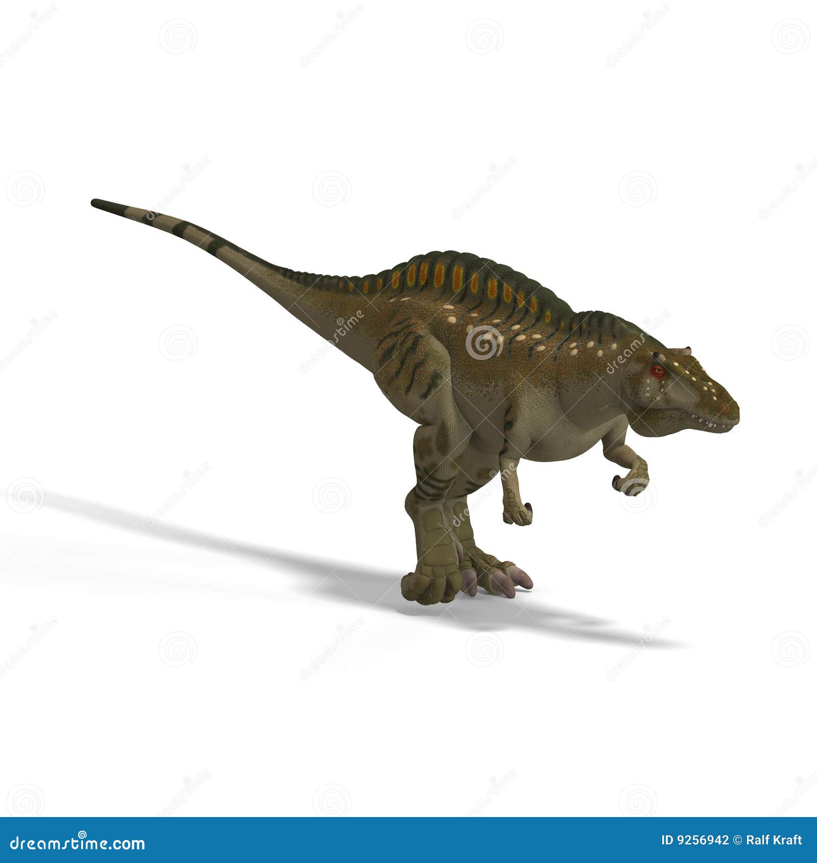 Acrocanthosaurus Dinosaur Front Stock Photography | CartoonDealer.com ...