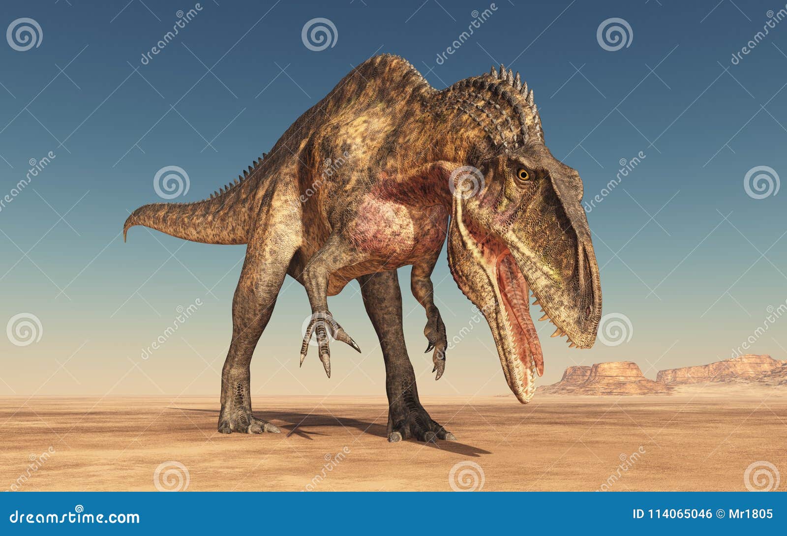 Dinosaur Acrocanthosaurus in the Desert Stock Illustration ...