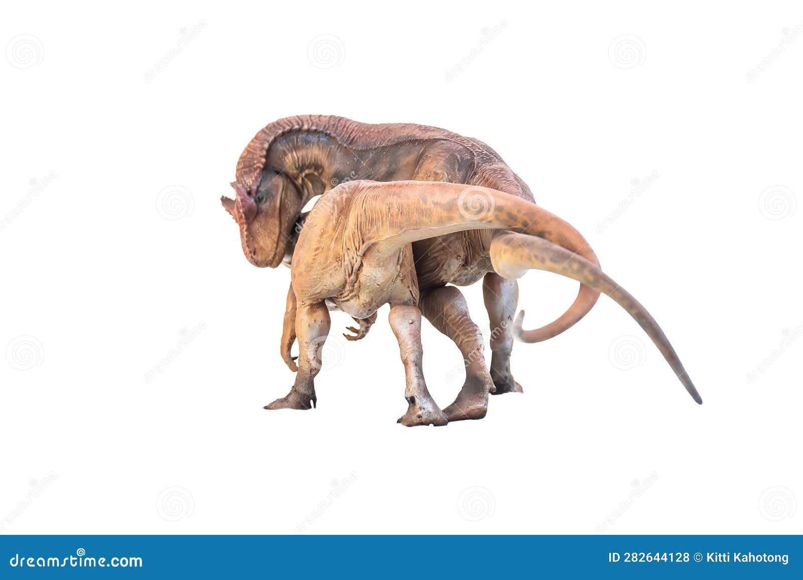 Dinosaur , Allosaurus on Isolated Background Stock Photo - Image of ...