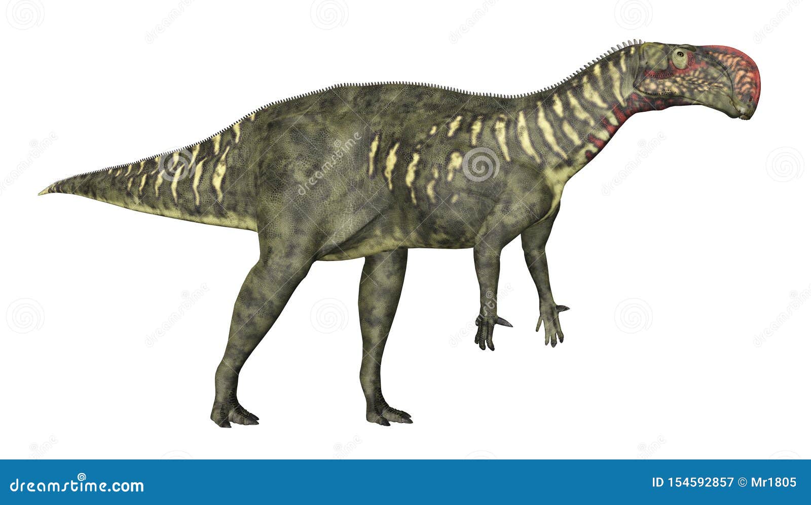 Dinosaur Altirhinus Stock Illustrations – 25 Dinosaur Altirhinus Stock ...