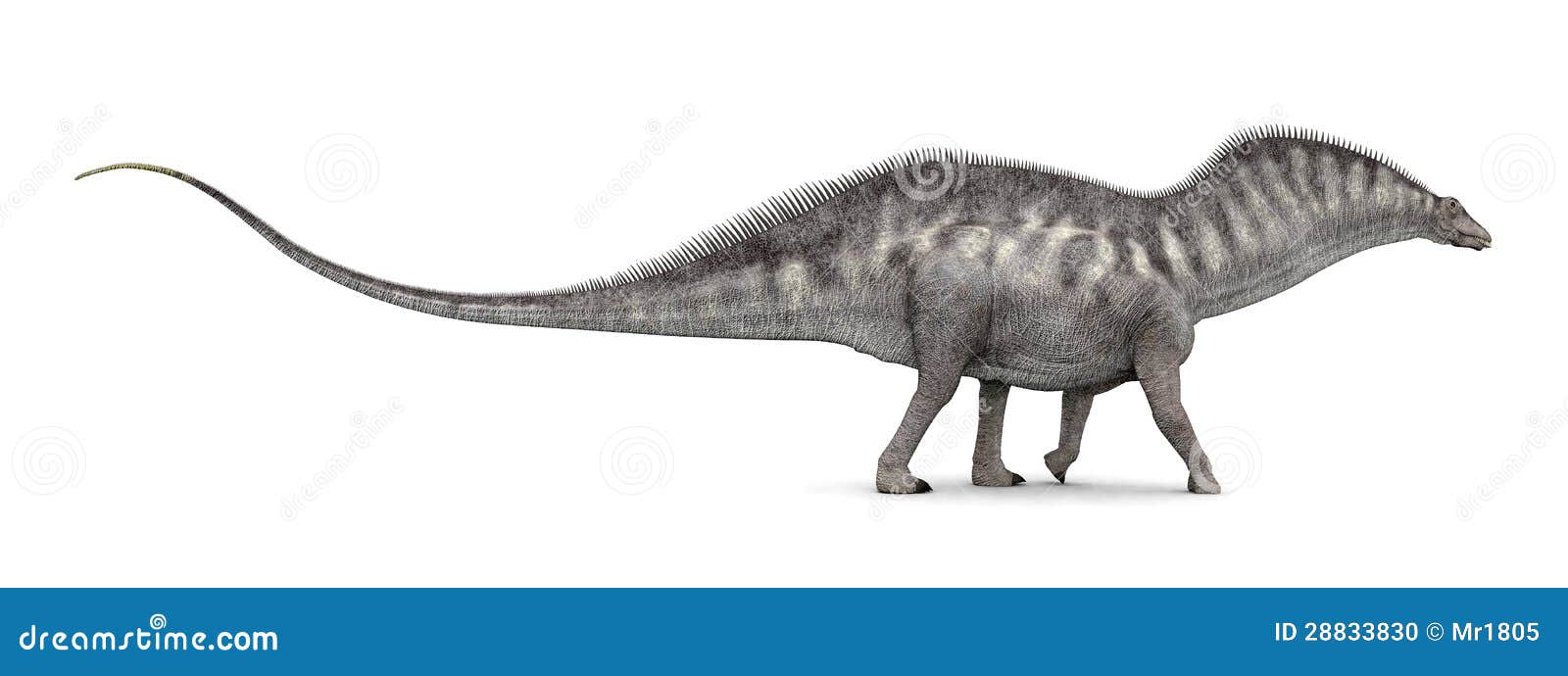 Amargasaurus Dinosaur Head Royalty-Free Stock Image | CartoonDealer.com ...