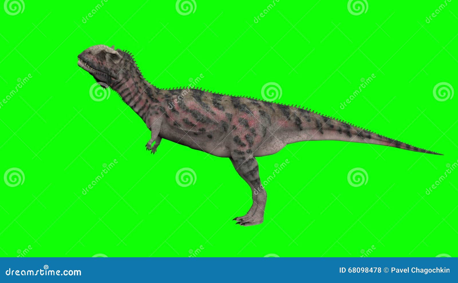 Dinosaur Animation on Green Screen. GI Realistic Render and Motion ...