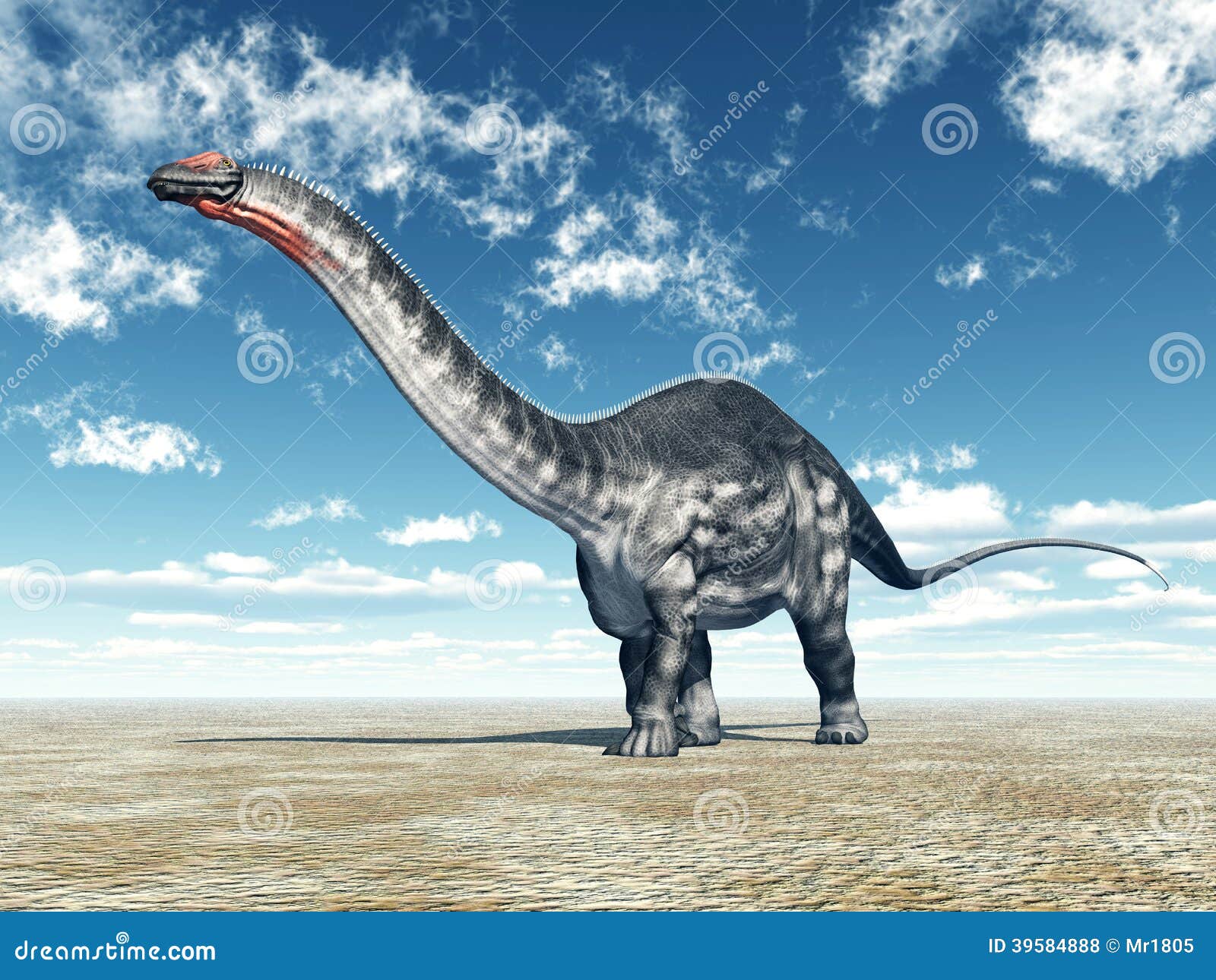 Dinosaur Apatosaurus And Human Size Comparison Royalty-Free ...