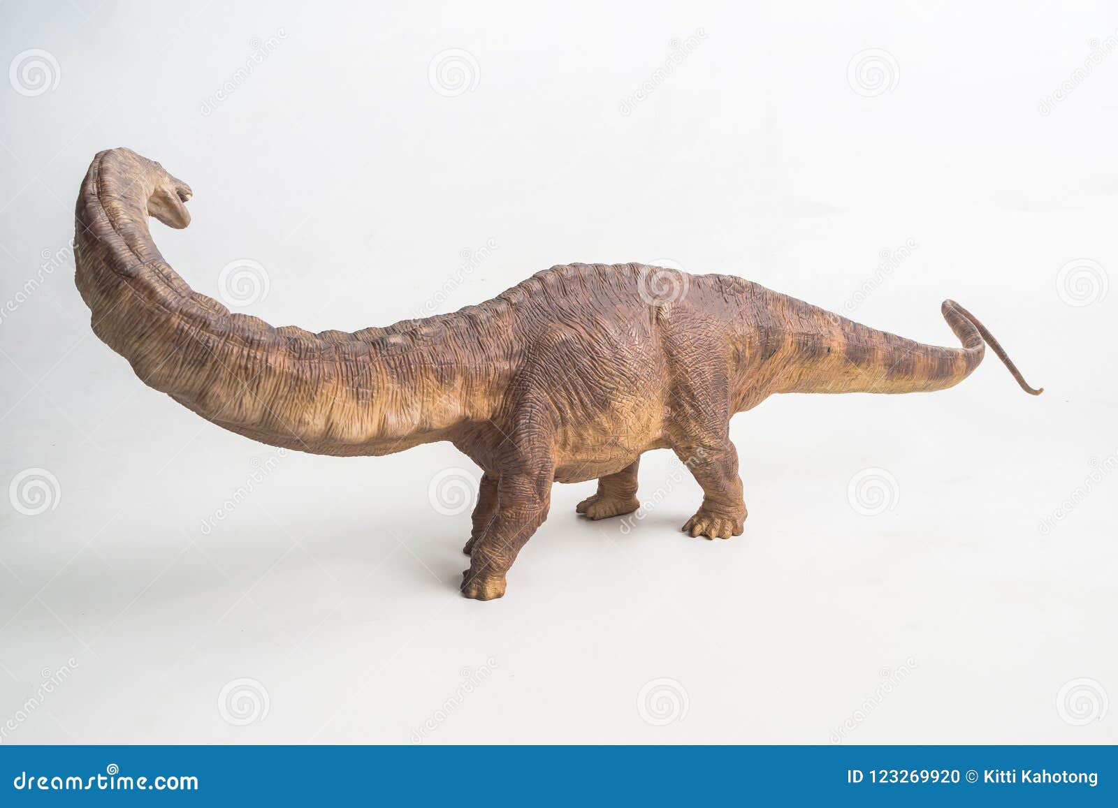 Dinosaur , Apatosaurus on White Background Stock Photo - Image of ...