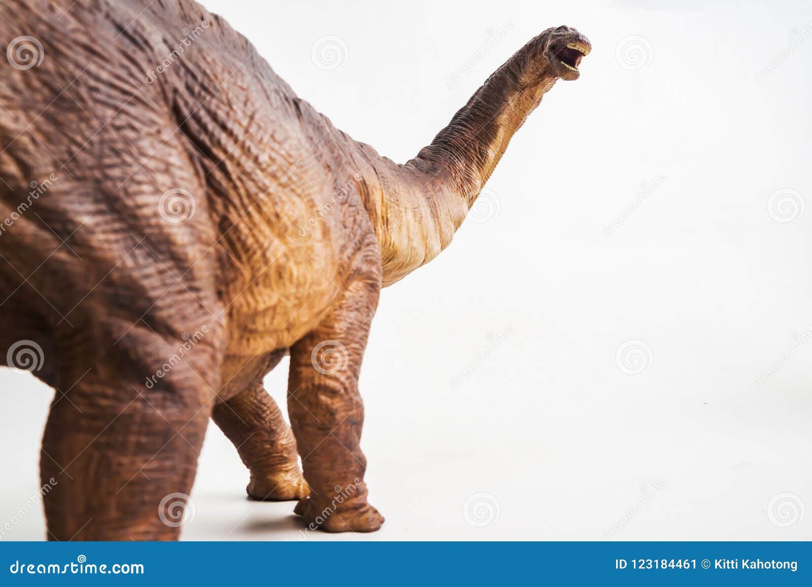 Dinosaur , Apatosaurus on White Background Stock Image - Image of ...