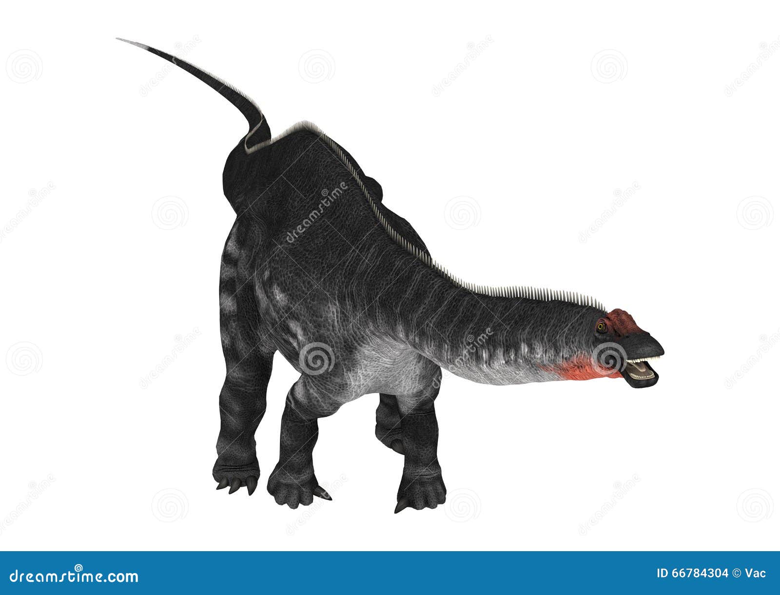 Dinosaur Apatosaurus on White Stock Illustration - Illustration of ...