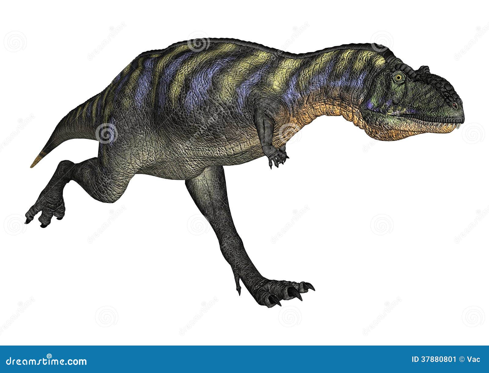 Dinosaur Aucasaurus Royalty-Free Stock Photography | CartoonDealer.com ...