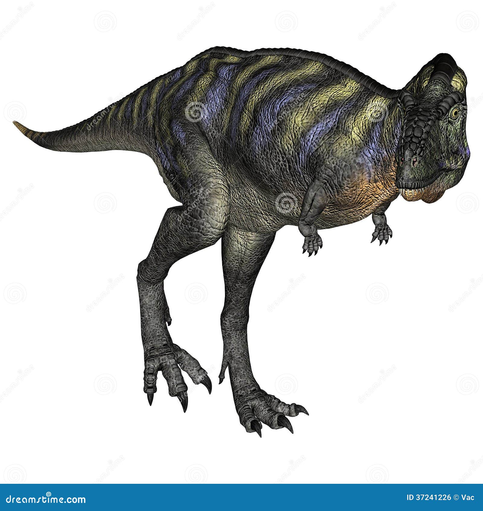 Aucasaurus Cartoons, Illustrations & Vector Stock Images - 97 Pictures ...