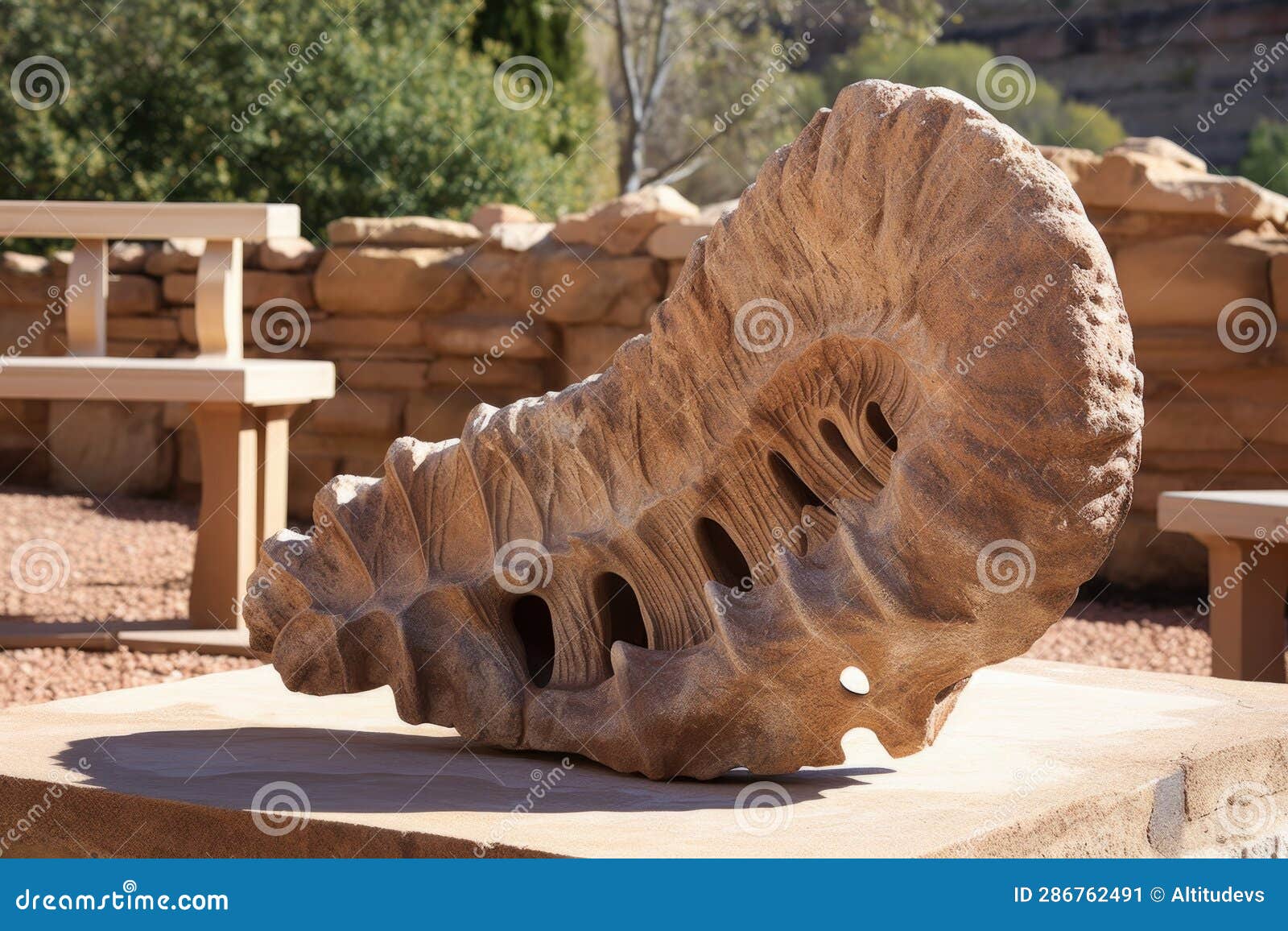 Dinosaur Bone Fossil in Sandstone, Outdoor Setting Stock Image - Image ...