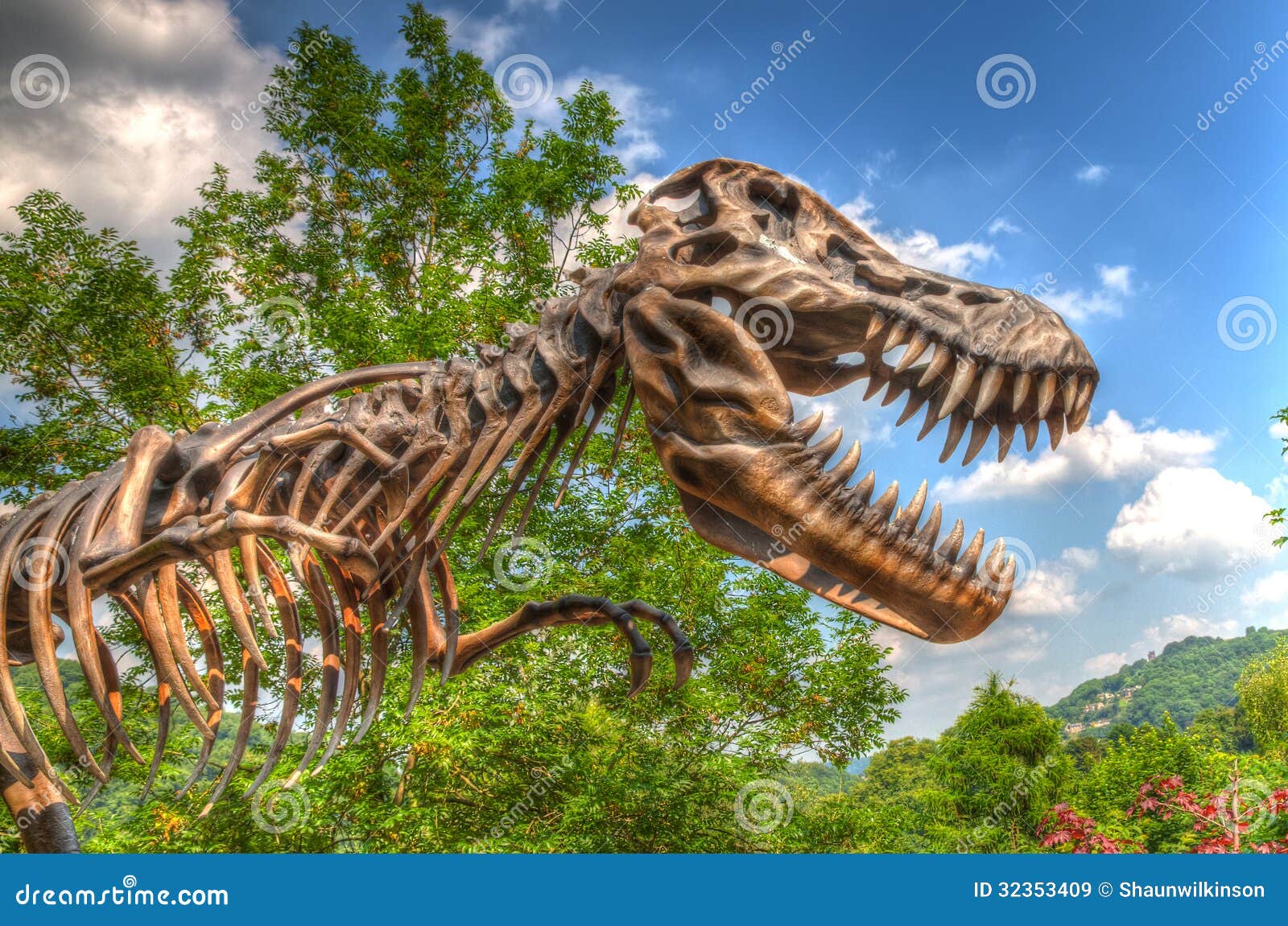 Dinosaur bones stock image. Image of predator, bone, skeleton - 32353409