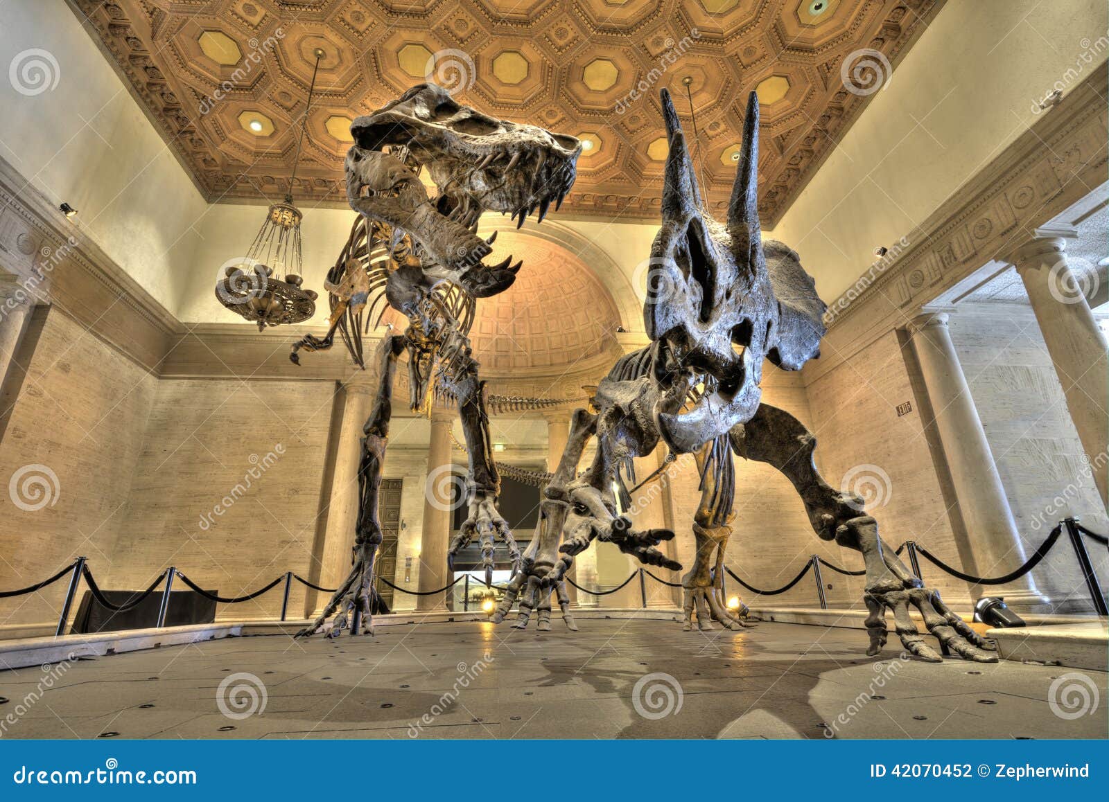 Dinosaur bones stock photo. Image of colors, horizontal - 42070452