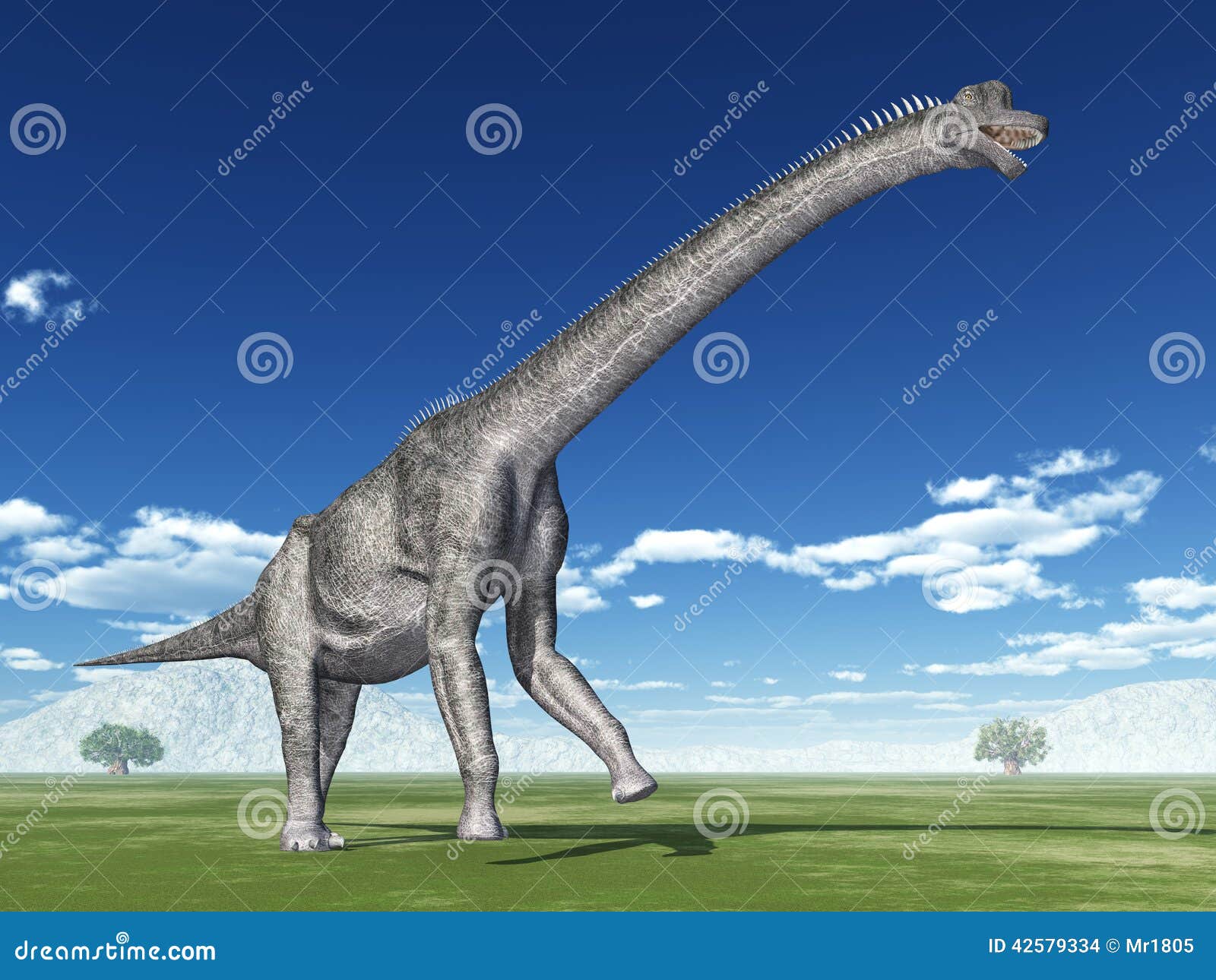 Dinosaur Brachiosaurus; Brontosaurus; Diplodocus Vector Silhouette ... Dinosaur Brachiosaurus; Brontosaurus; Diplodocus Vector Silhouette ...