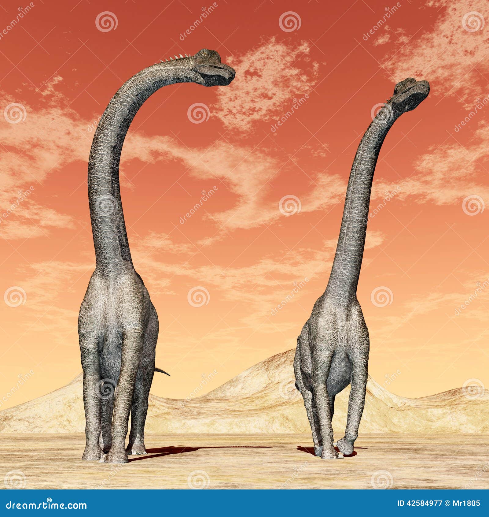 Dinosaur Brachiosaurus stock illustration. Illustration of ...