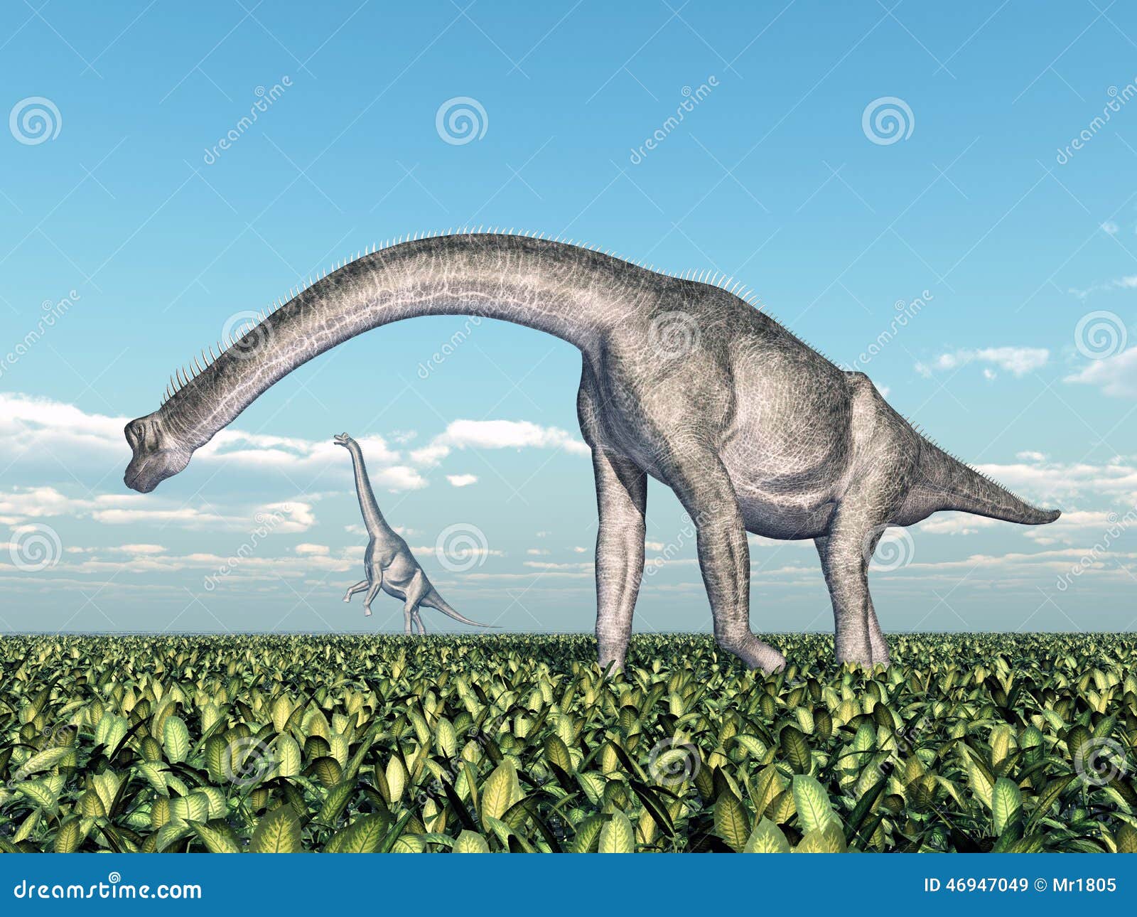 Dinosaur Brachiosaurus stock illustration. Illustration of science ...
