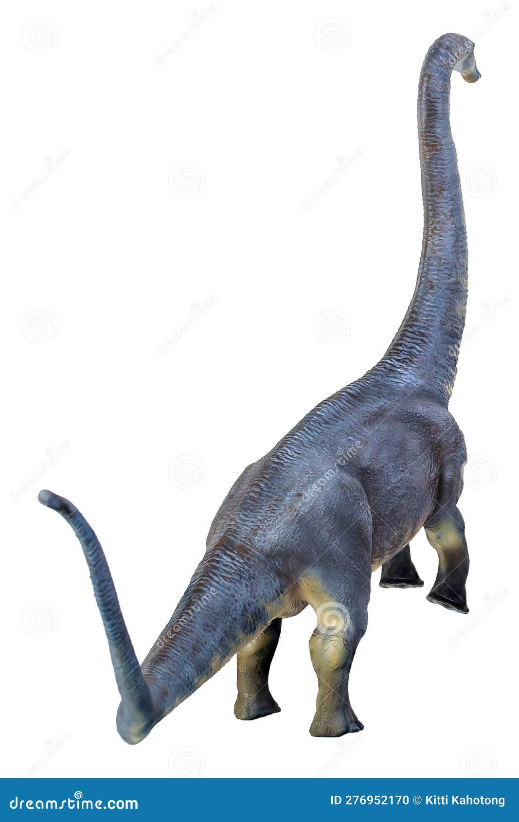 Dinosaur , Brontosaurus Isolated Background Stock Illustration ...