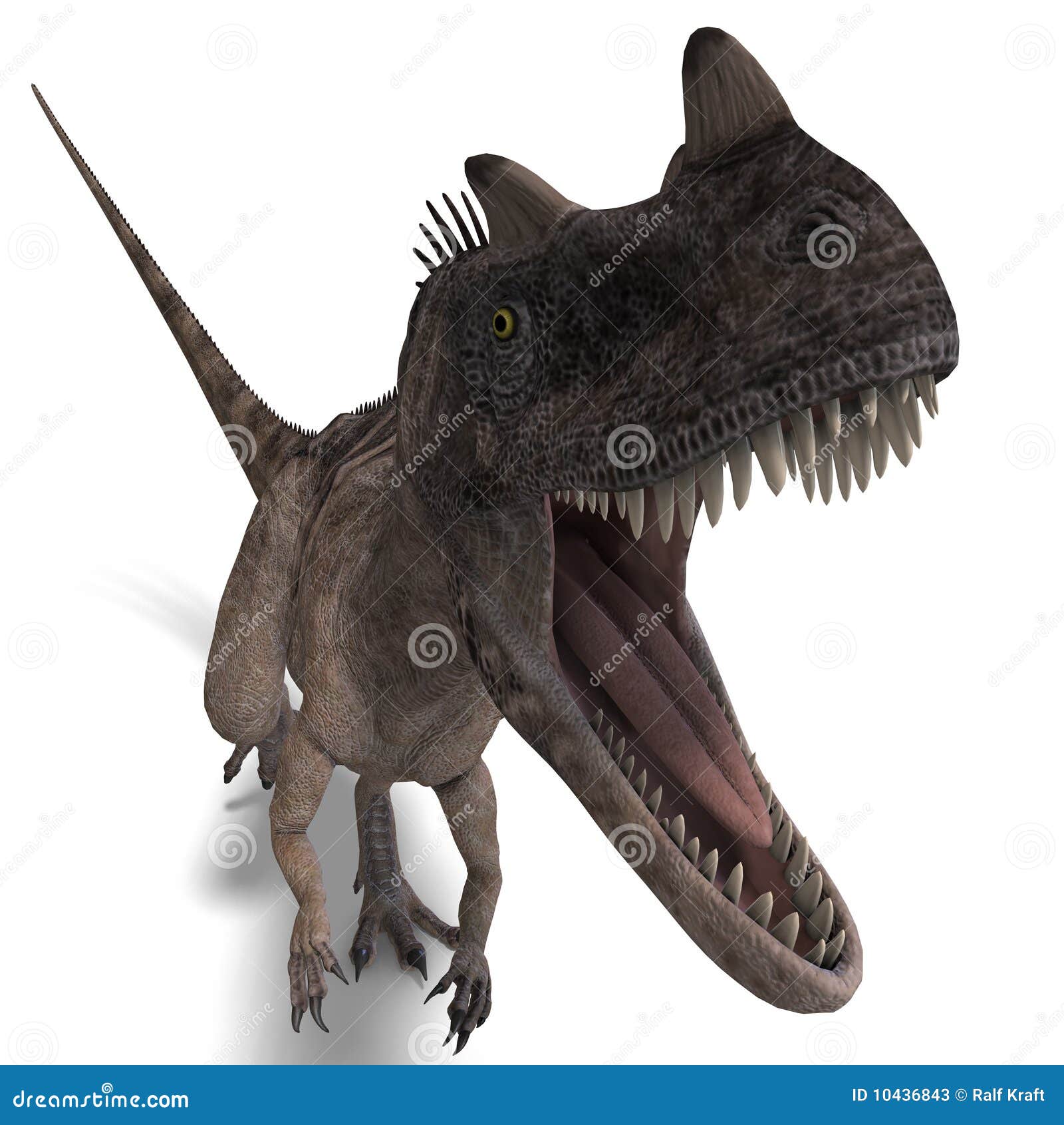 Ceratosaurus. Theropoda Dinosaur. Colorful Vector Illustration Of ...