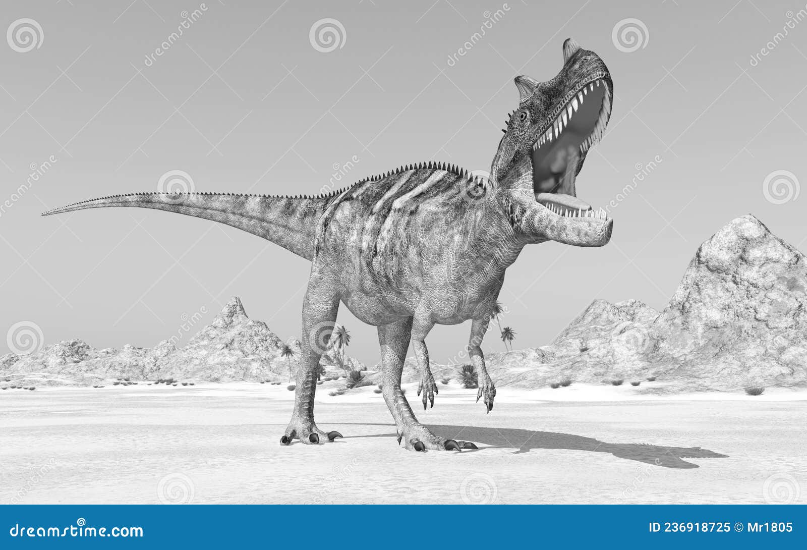 Ceratosaurus On White Background Stock Photo | CartoonDealer.com #156654072