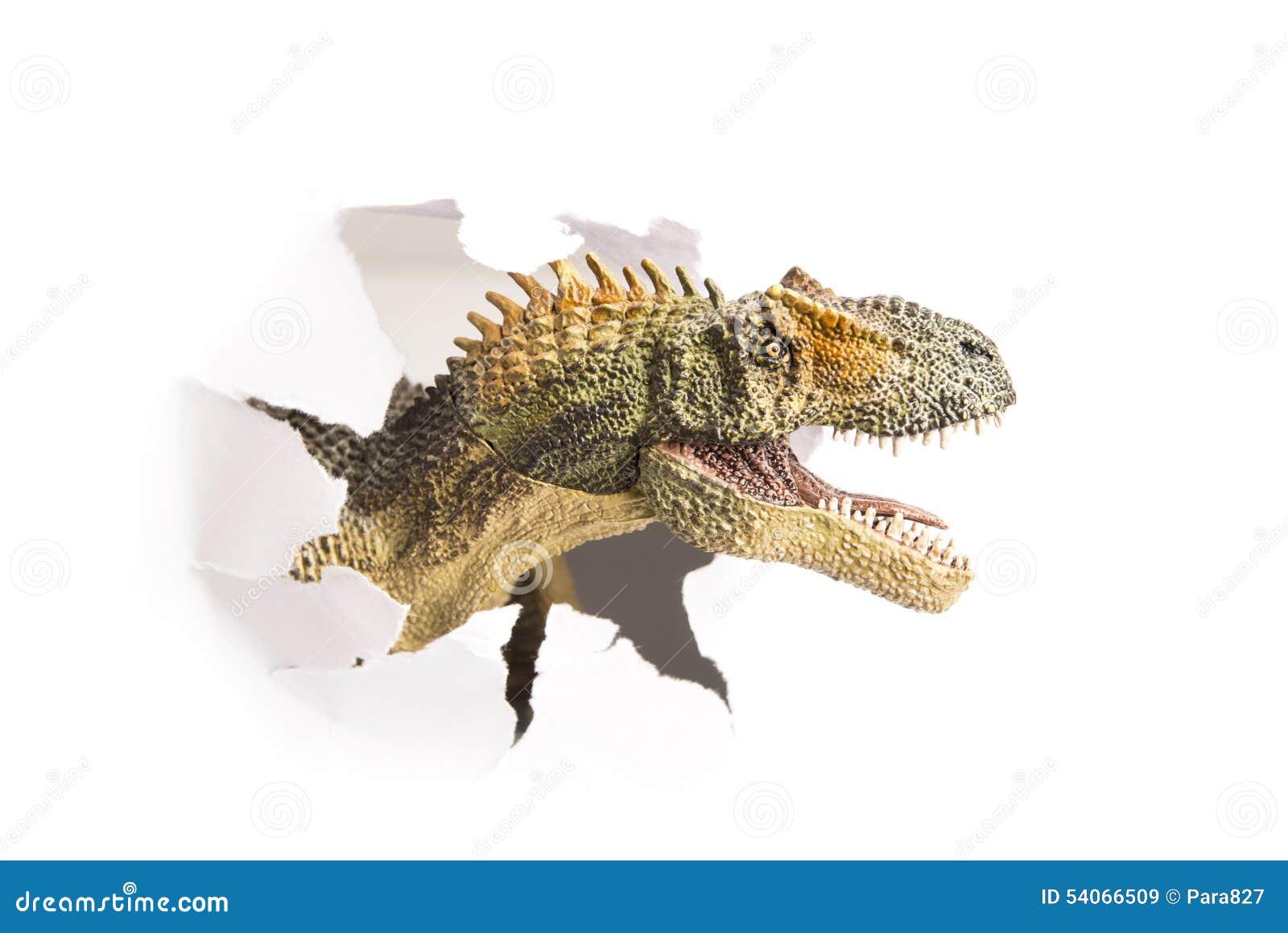 Dinosaur stock image. Image of pressure, circle, exploding - 54066509