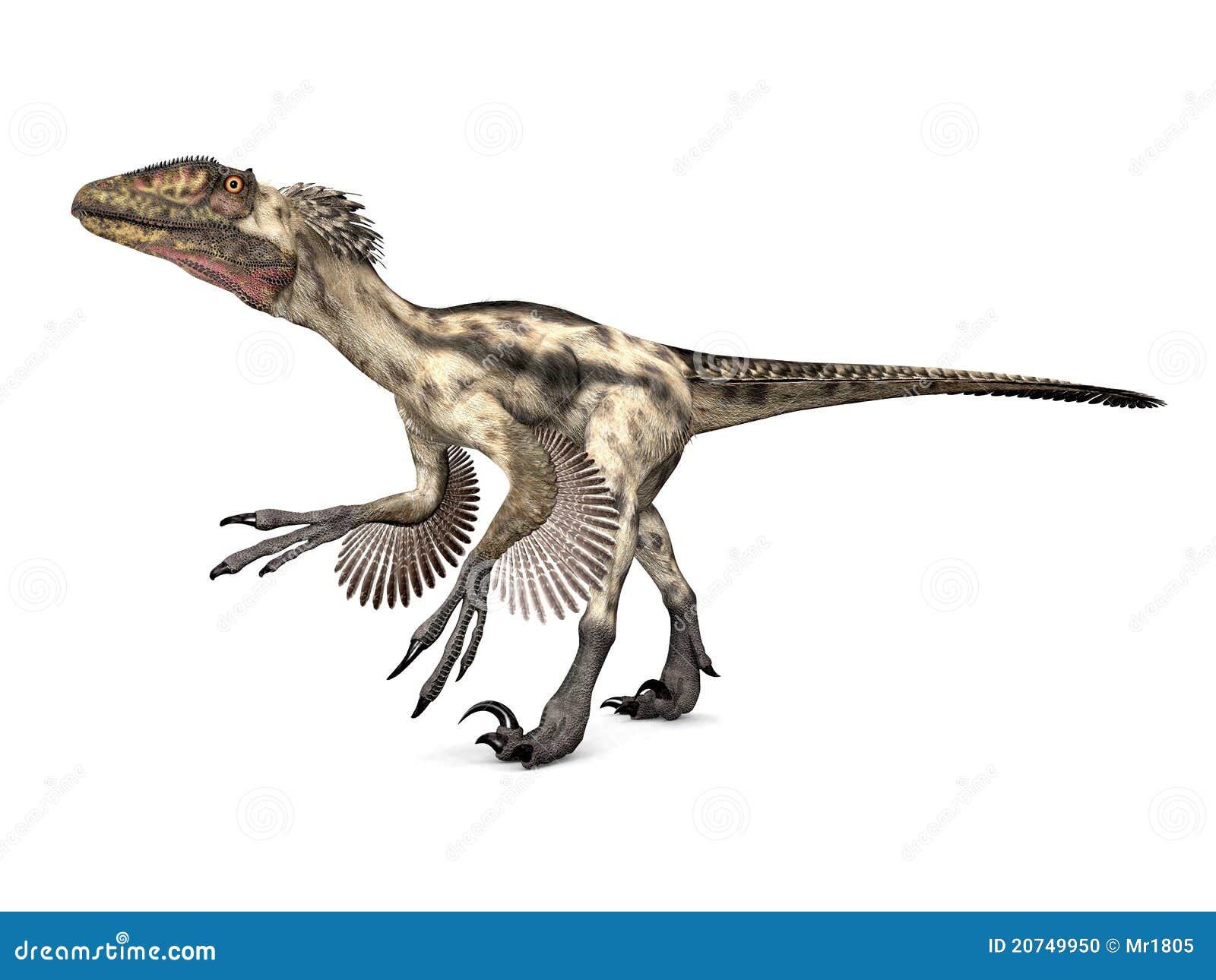 Dinosaur Deinonychus Stock Photo - Image: 20749950