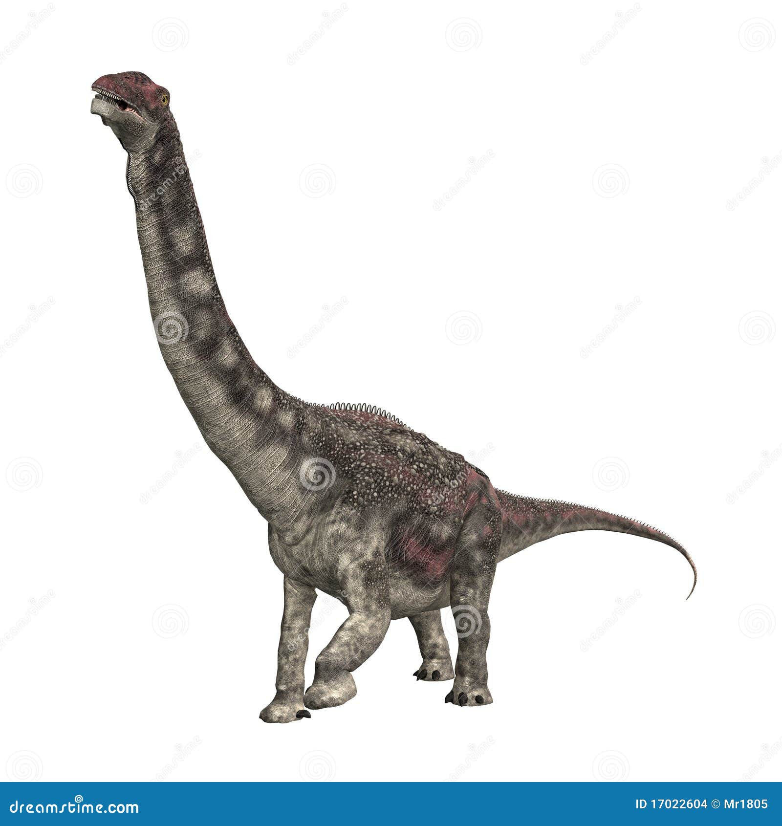 Diamantinasaurus Dinosaur Side Profile Royalty-Free Stock Photo ...