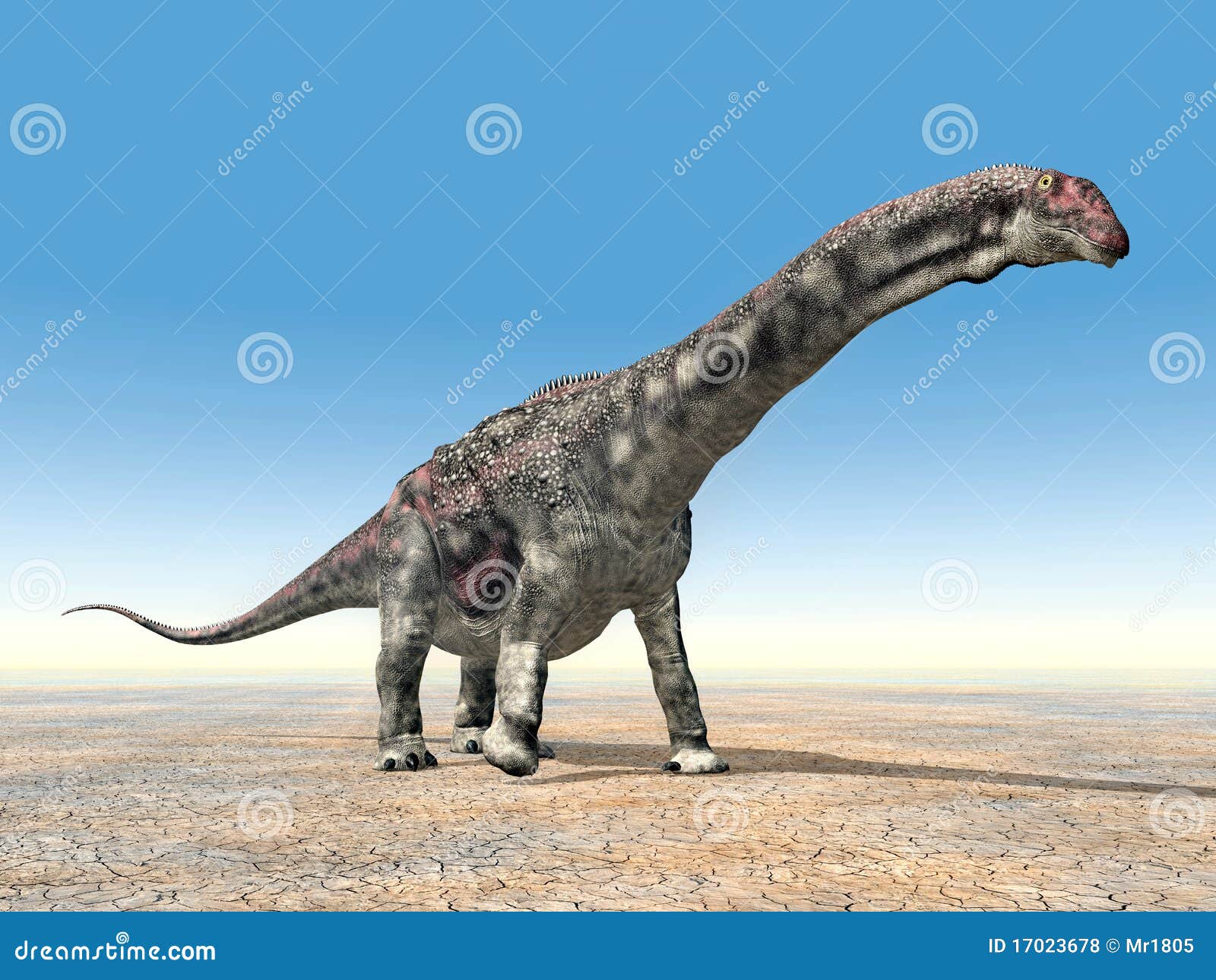 Diamantinasaurus Dinosaur Side Profile Royalty-Free Stock Photo ...