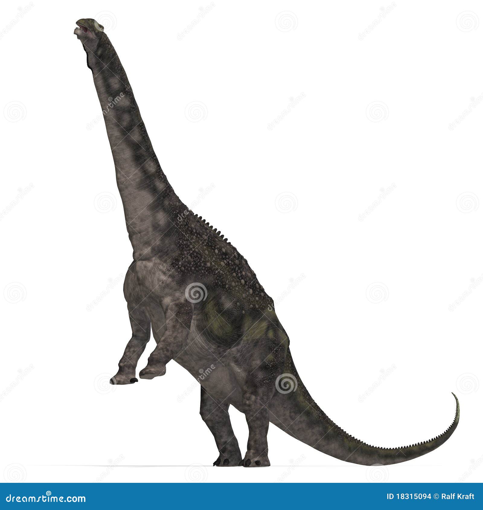 Diamantinasaurus Dinosaur Side Profile Royalty-Free Stock Photo ...