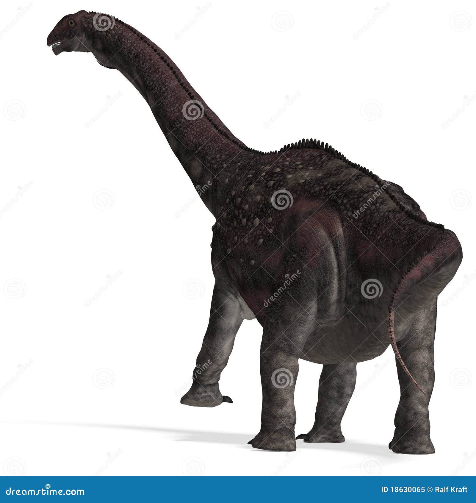 Diamantinasaurus Dinosaur Side Profile Royalty-Free Stock Photo ...