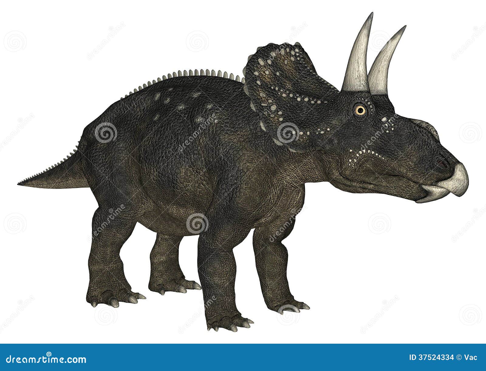 Dinosaur Diceratops Stock Photography | CartoonDealer.com #6822350