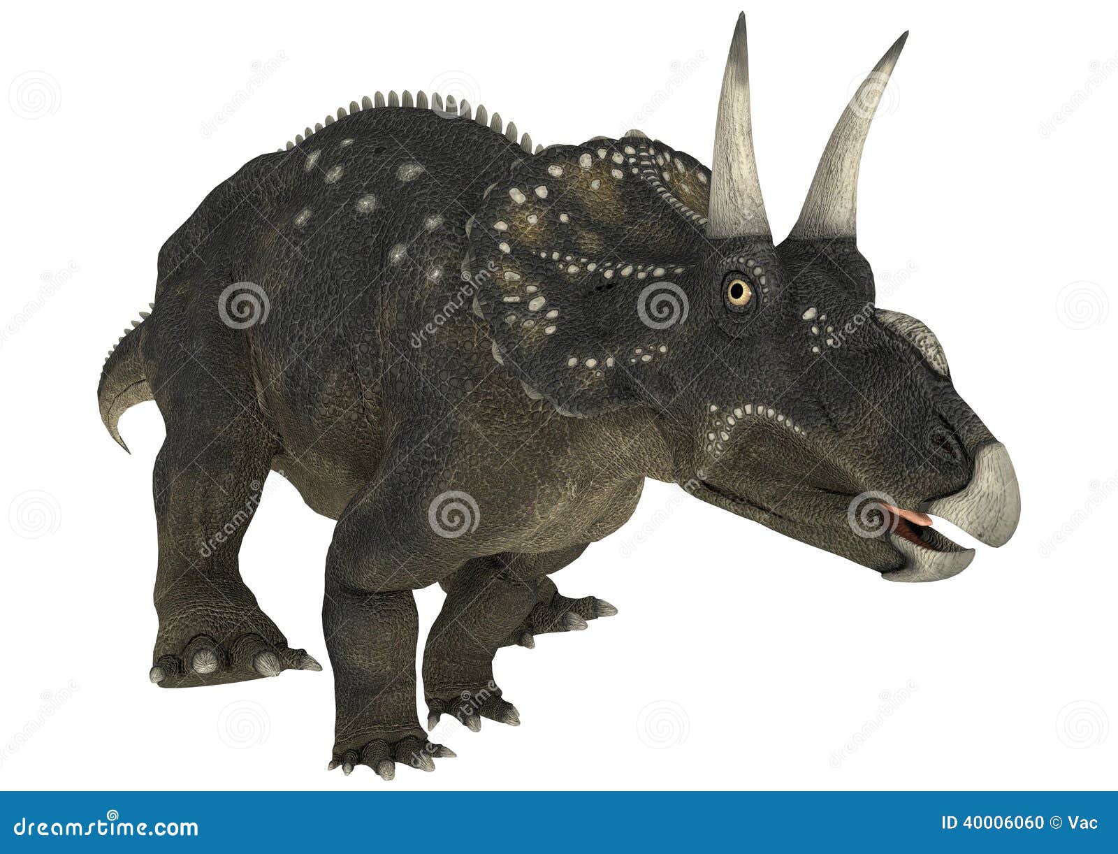 Dinosaur Diceratops Stock Illustration - Image: 40006060