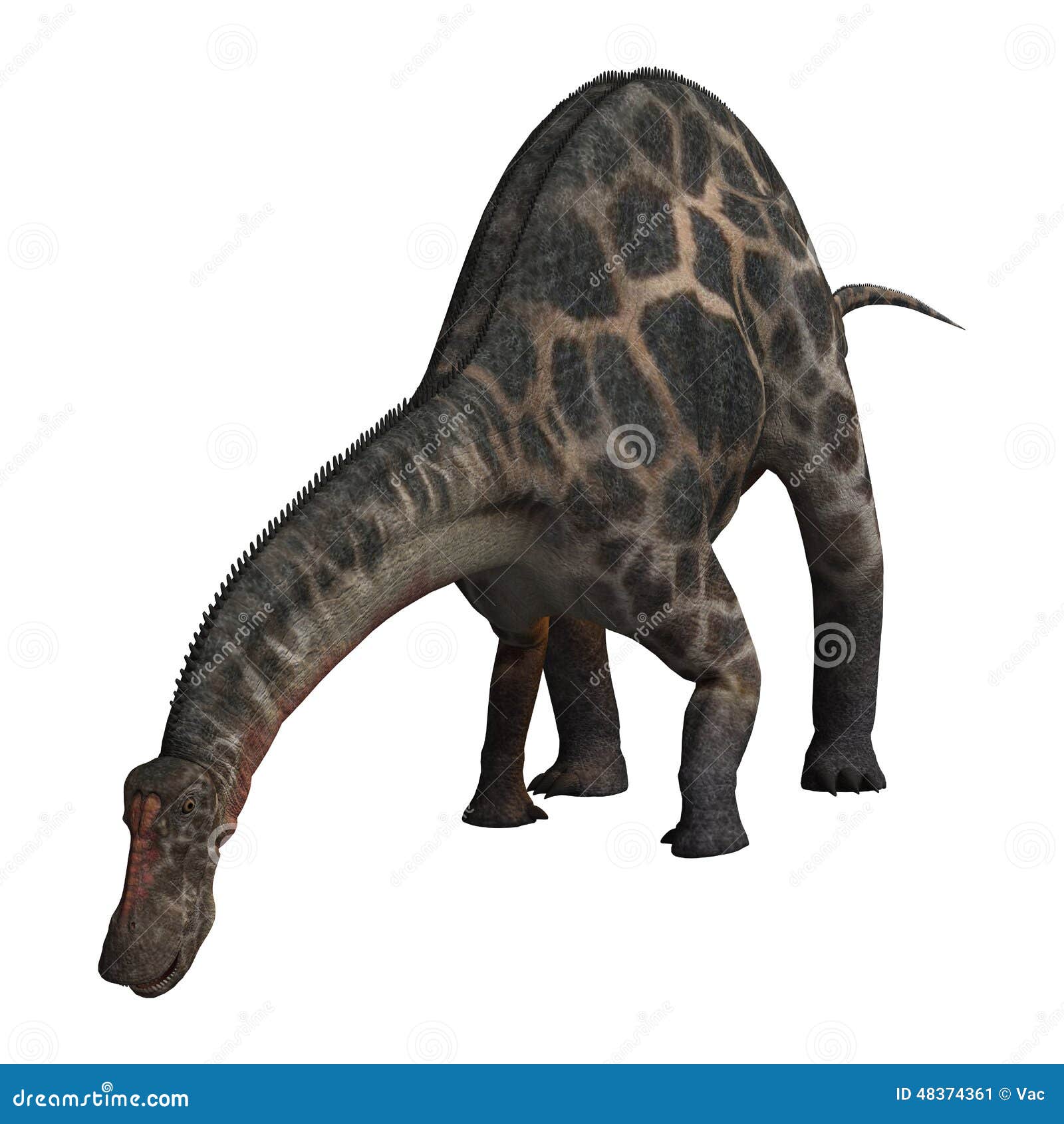 Dinosaur Dicraeosaurus stock illustration. Illustration of mammal ...