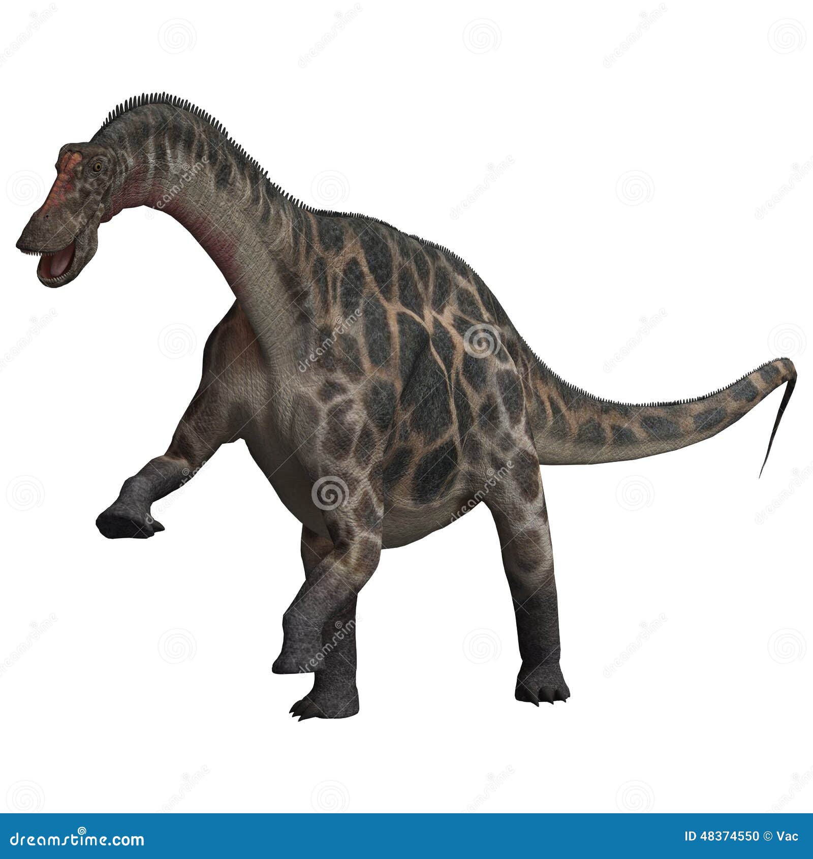 Dinosaur Dicraeosaurus stock illustration. Illustration of ...