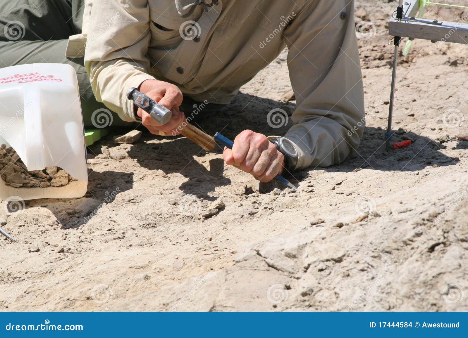 Dinosaur Dig stock photo. Image of hand, rock, arid, rocks - 17444584
