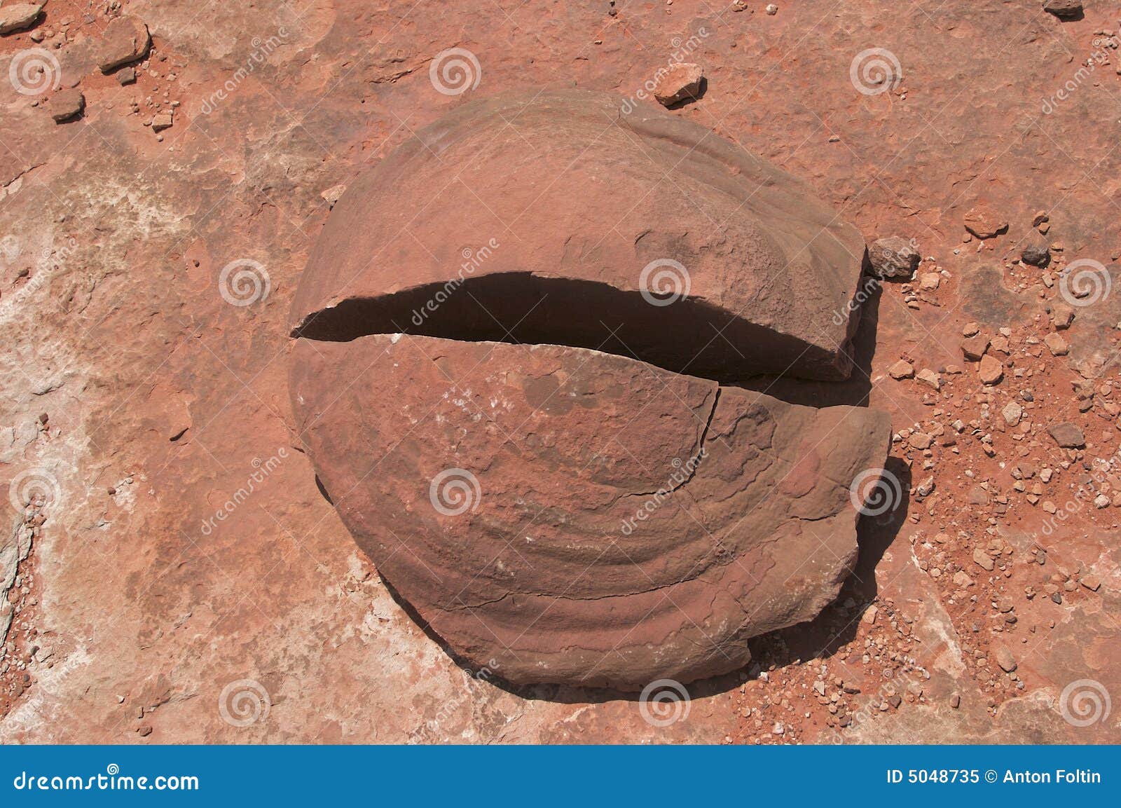 Dinosaur Dung stock image. Image of evolution, fossil - 5048735