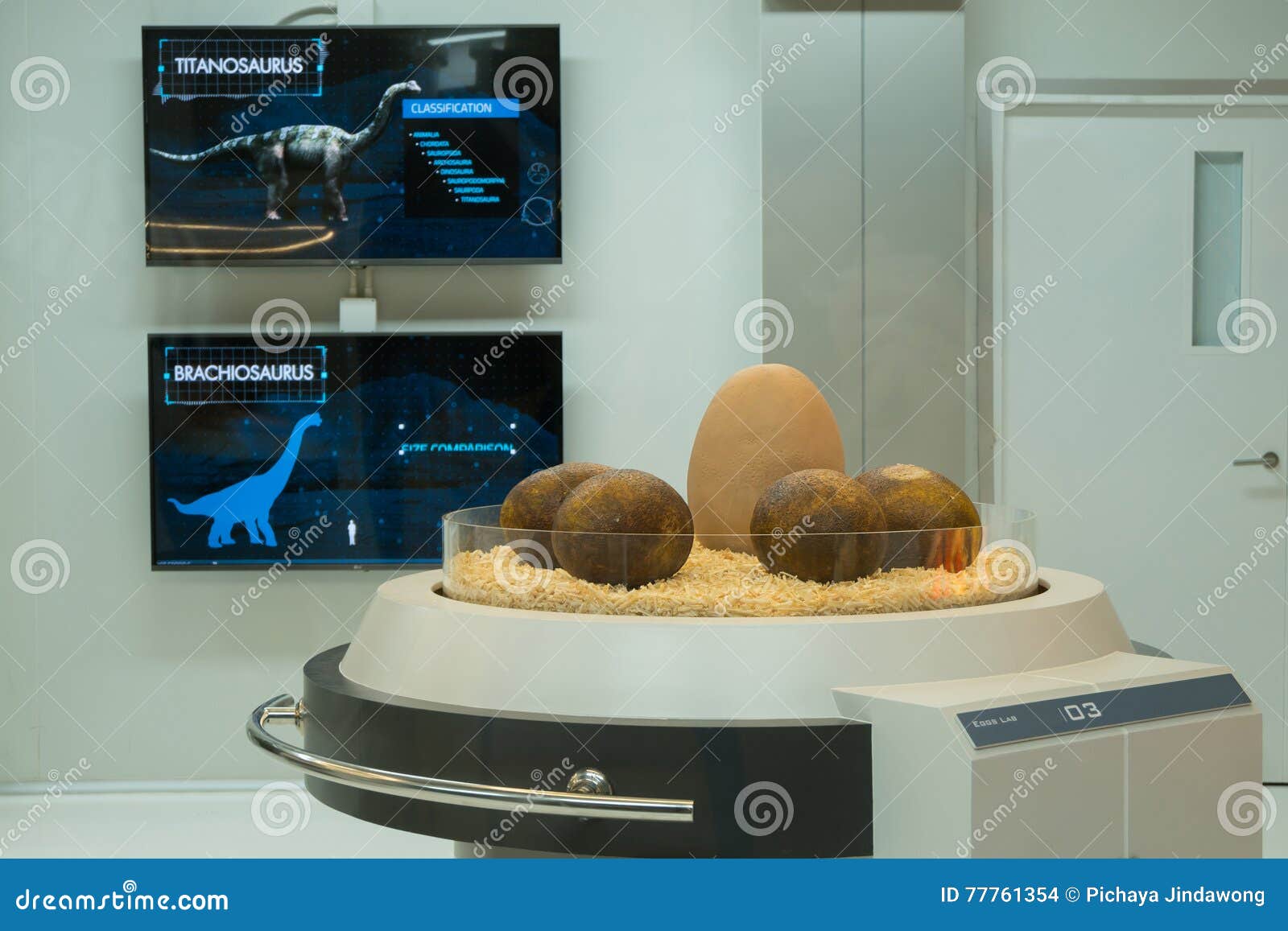 Dinosaur egg in laboratory editorial stock image. Image of large - 77761354