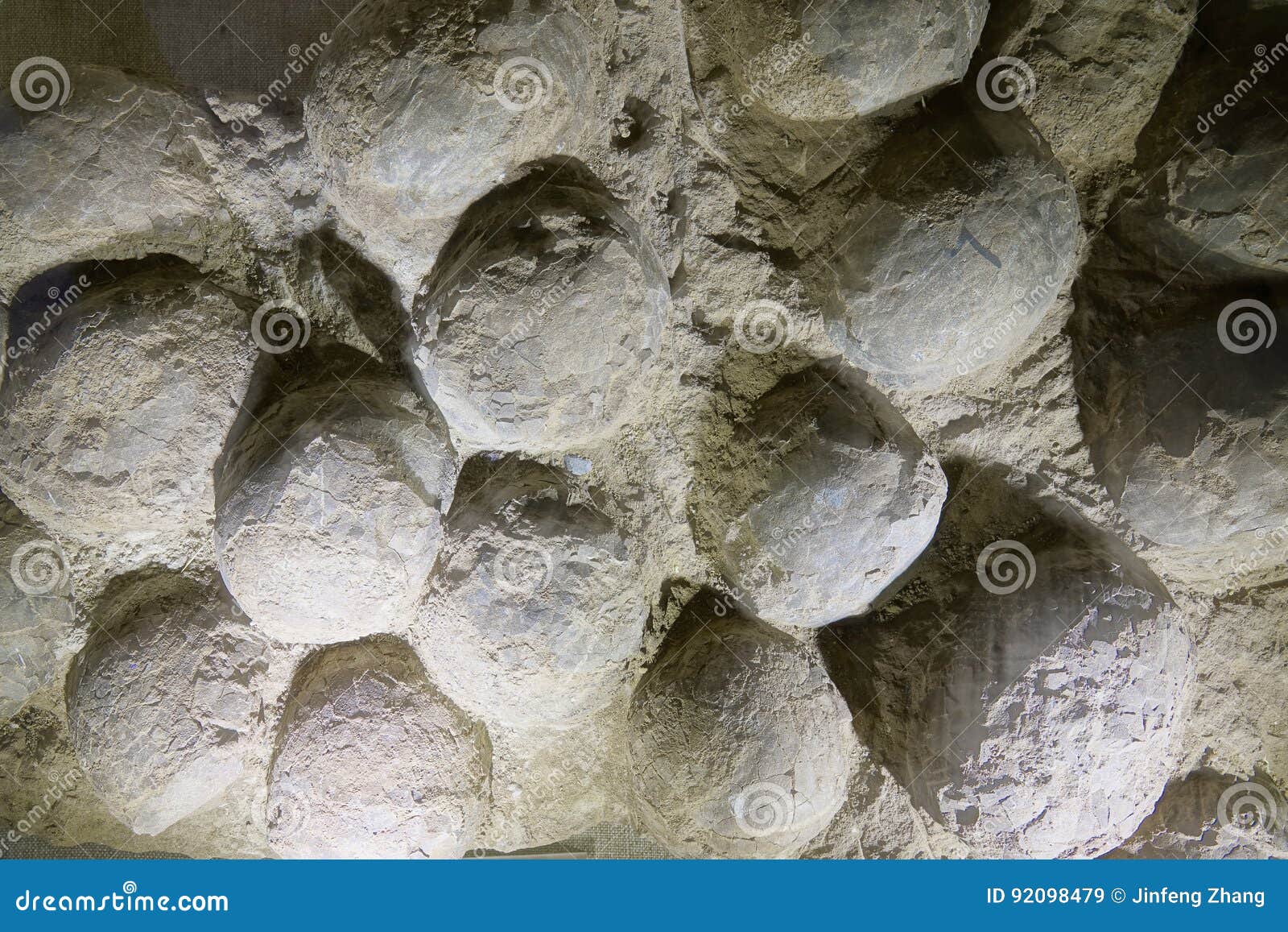 Dinosaur Eggs With New Born Reptiles, Prehistoric Scene Photo, Museum ...