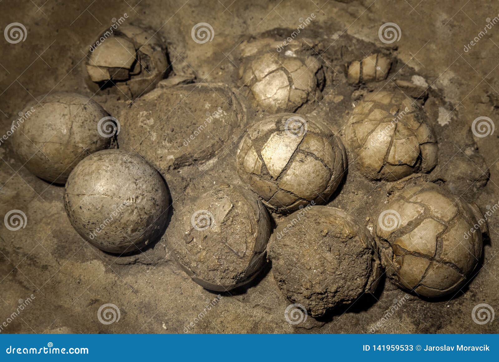 Dinosaur eggs in the nest stock image. Image of prehistoric - 141959533