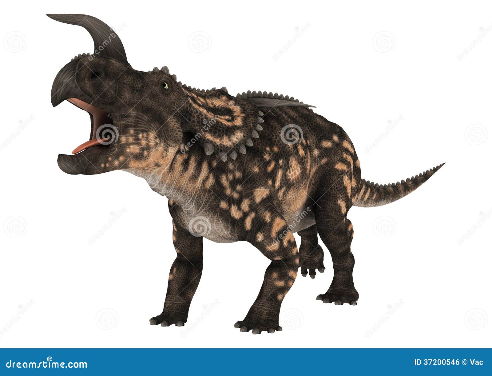 Dinosaur Einiosaurus stock illustration. Illustration of background ...
