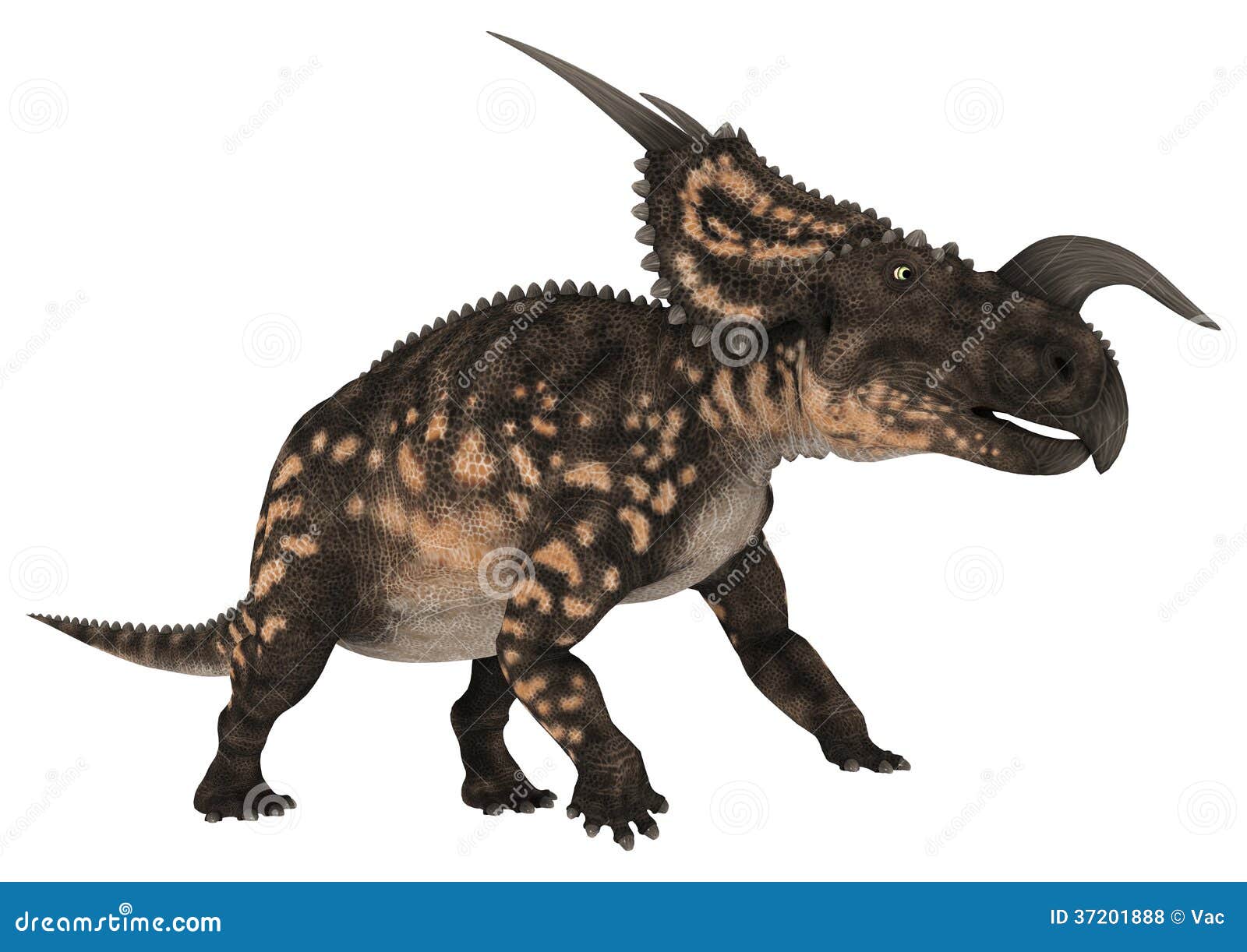 Dinosaur Einiosaurus stock illustration. Illustration of colossal ...