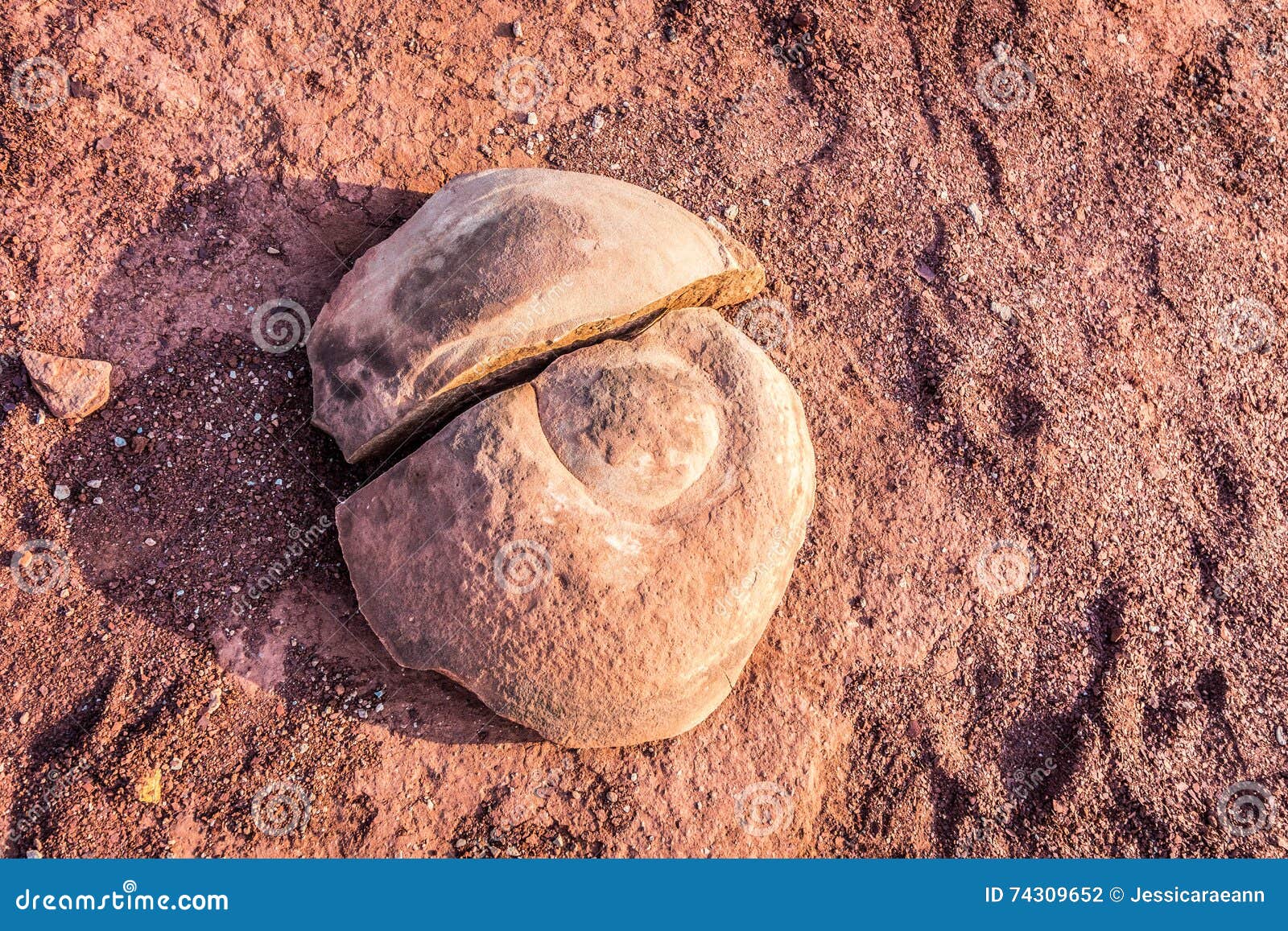 Dinosaur Poop. Stock Photo | CartoonDealer.com #57203640