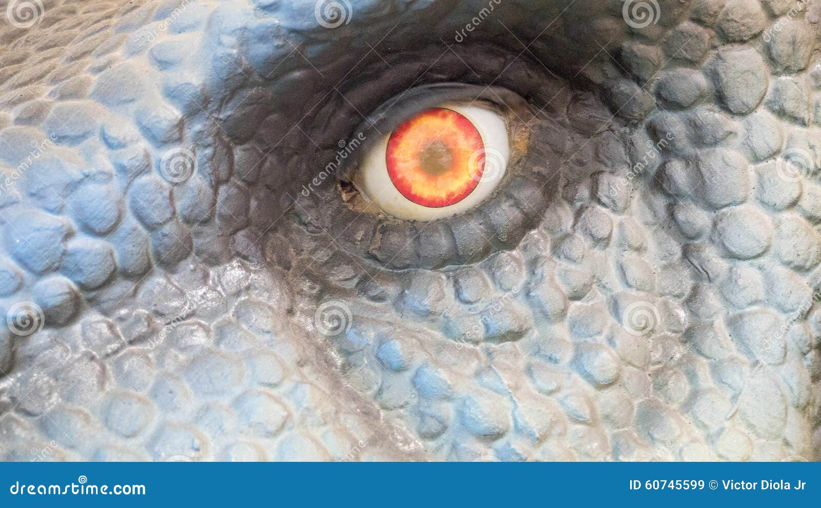 Dinosaur Eye stock image. Image of natural, stare, look - 60745599