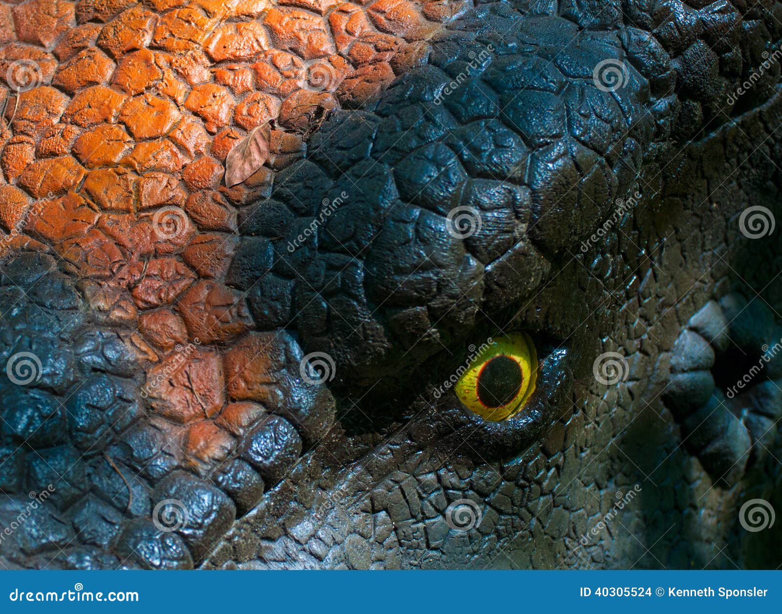 Dinosaur eye stock photo. Image of black, horizontal - 40305524