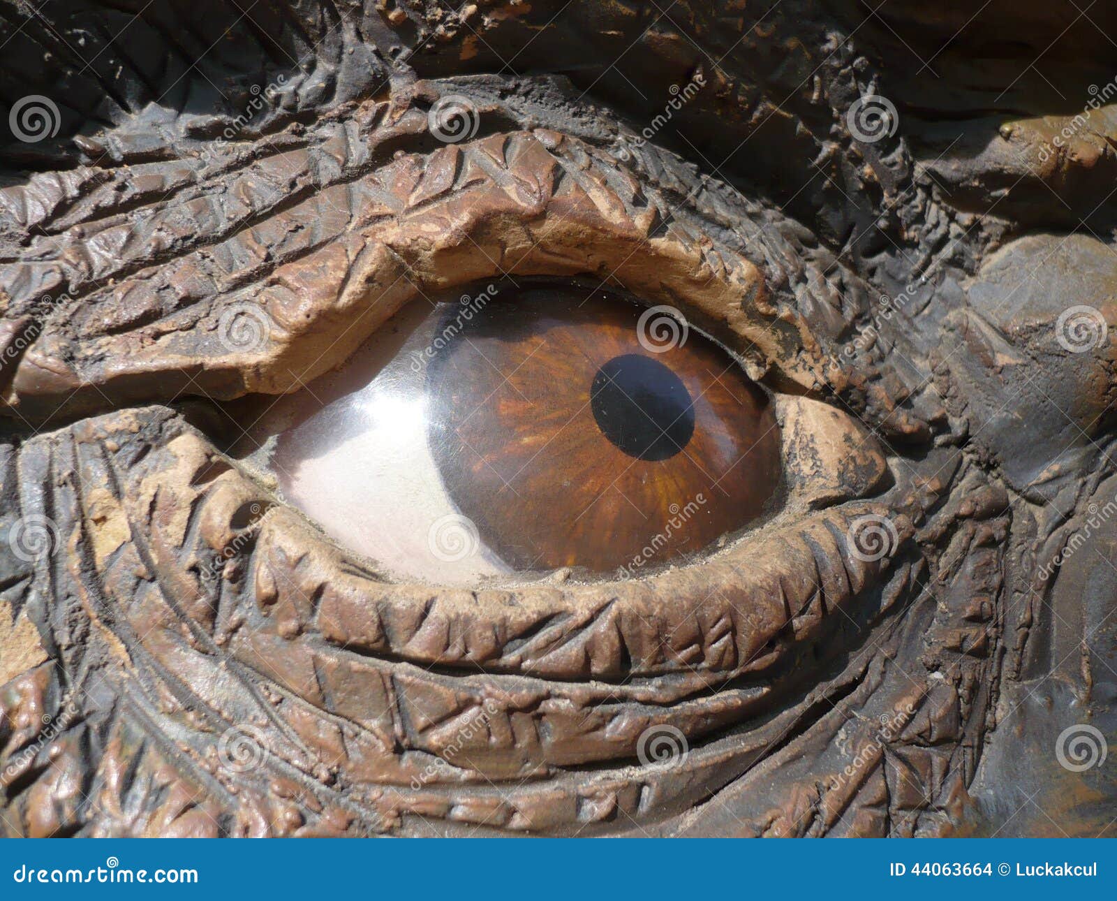 Dinosaur - eye stock photo. Image of extinct, dinosaur - 44063664