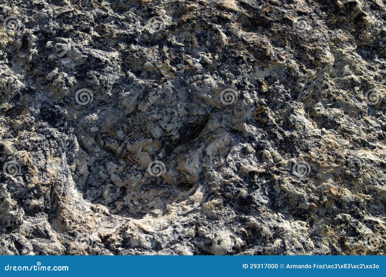 Dinosaur Footprint Ichnofossil Stock Photo - Image of rock, detail ...