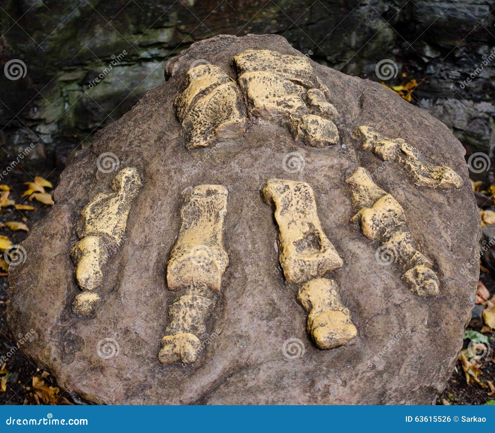 Dinosaur Footprint Ichnofossil Royalty-Free Stock Image | CartoonDealer ...