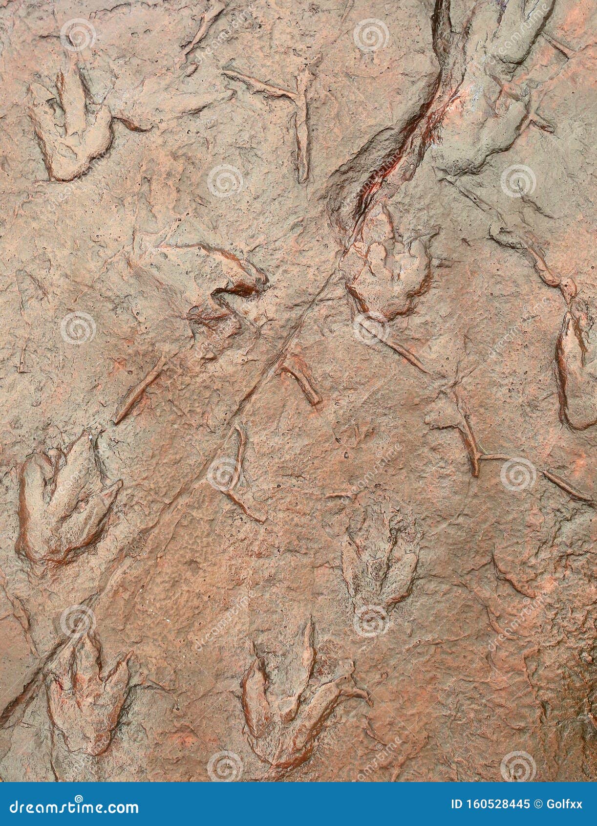 Dinosaur Footprints on the Rocks Stock Image - Image of impress ...