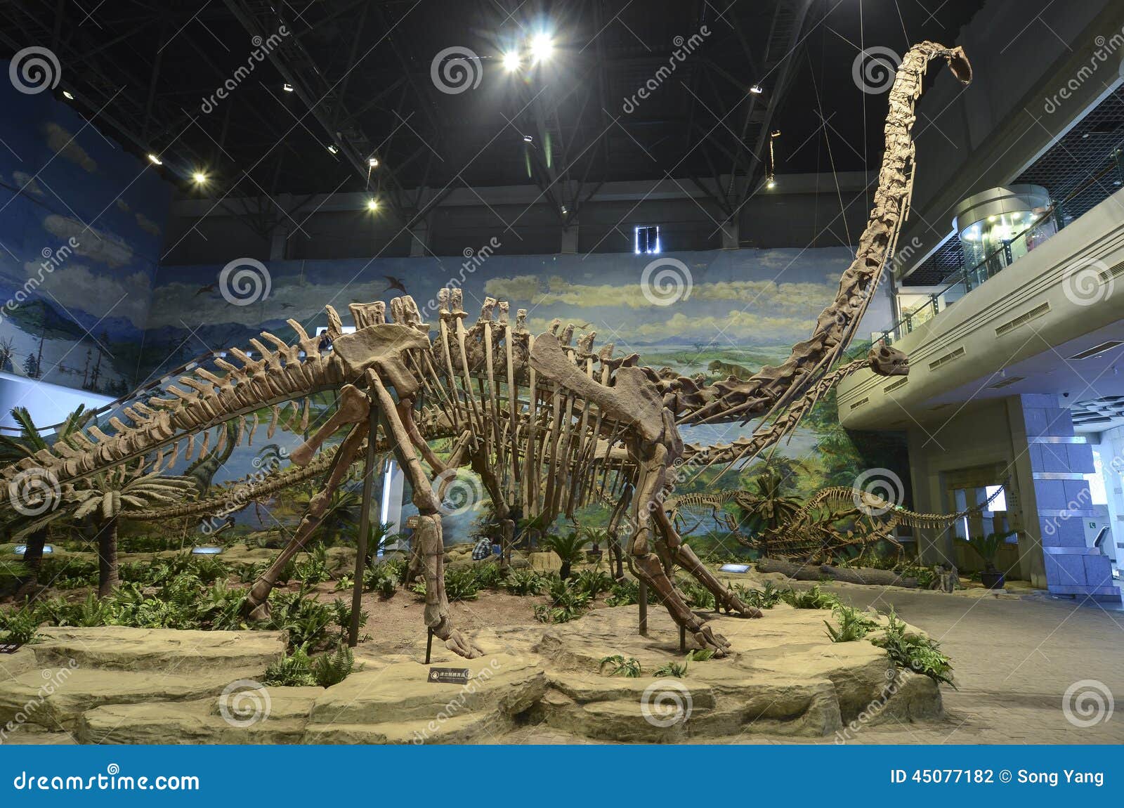 Dinosaur fossil editorial photography. Image of travel - 45077182