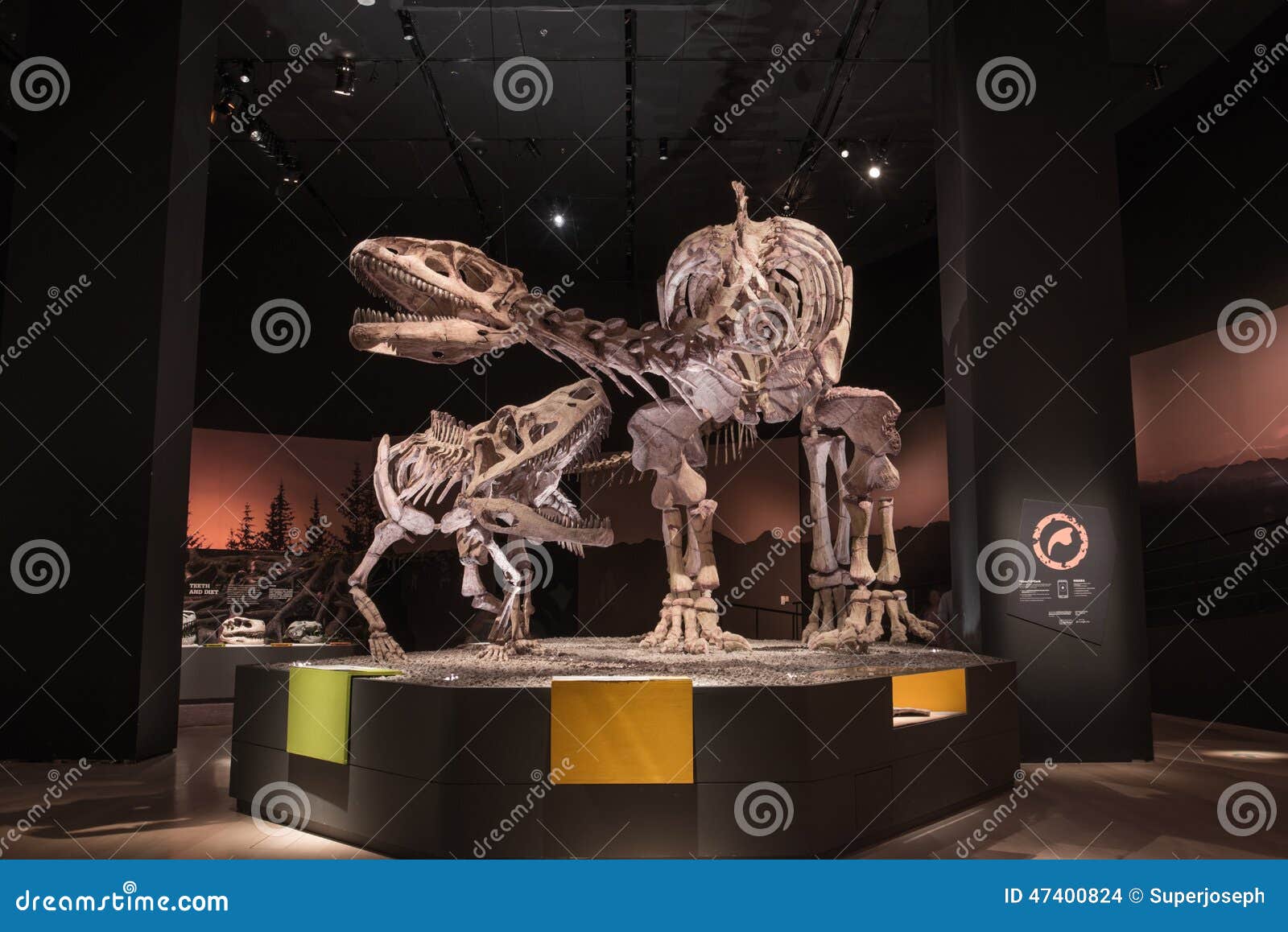 Dinosaur Fossils editorial stock image. Image of extinct - 47400824