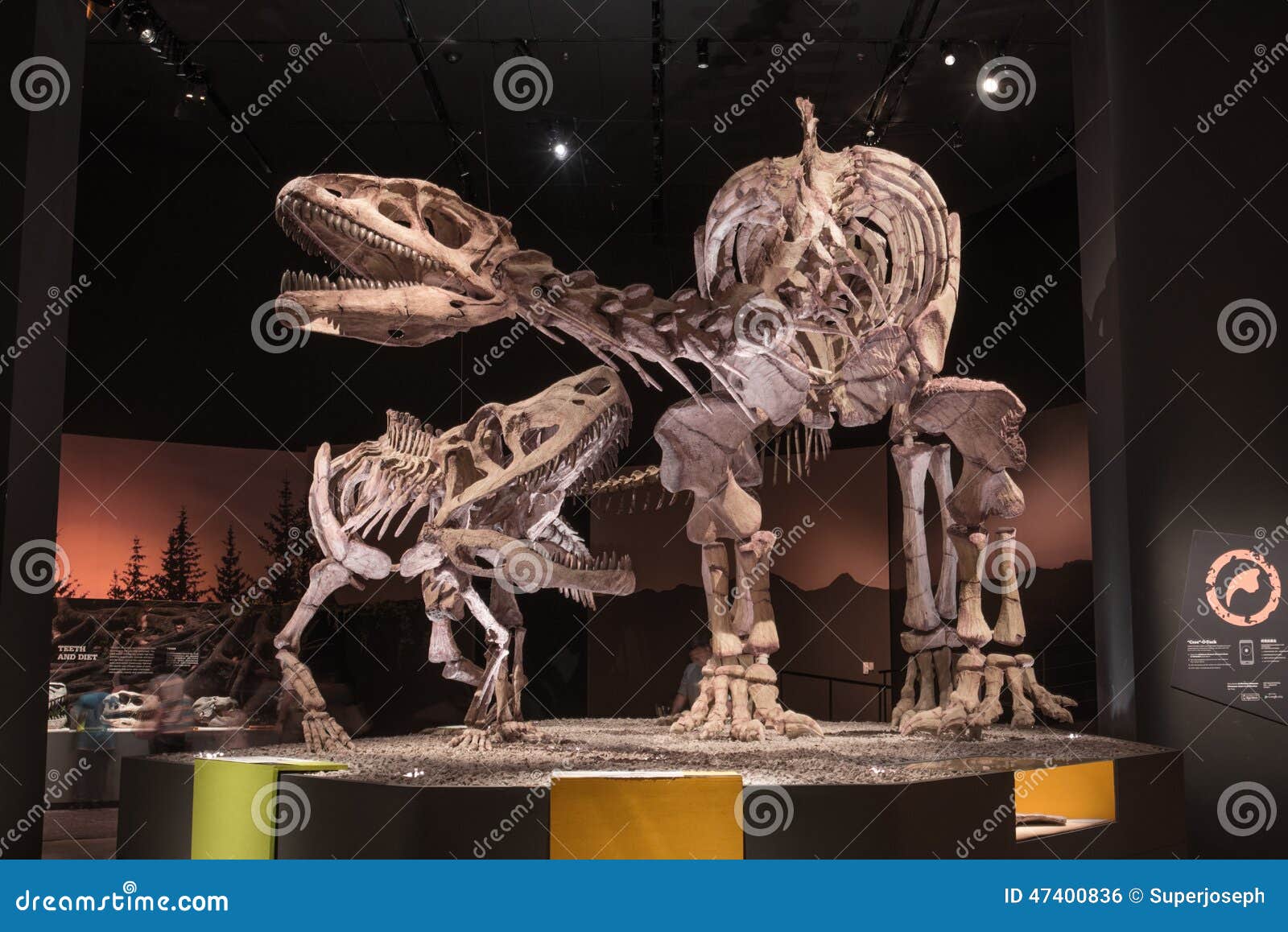 Dinosaur Fossils editorial photo. Image of skeleton, dinosaur - 47400836